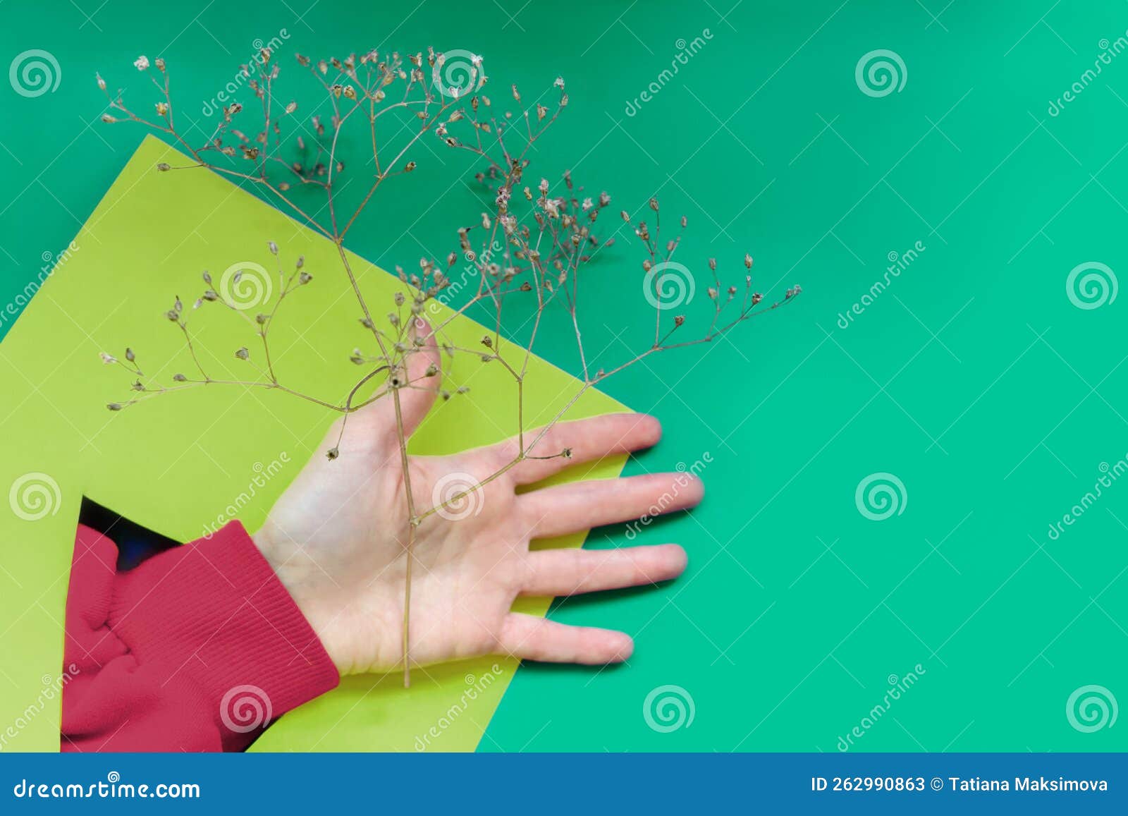 Hand with Dry Branch through Green Paper. Stock Image - Image of nature ...
