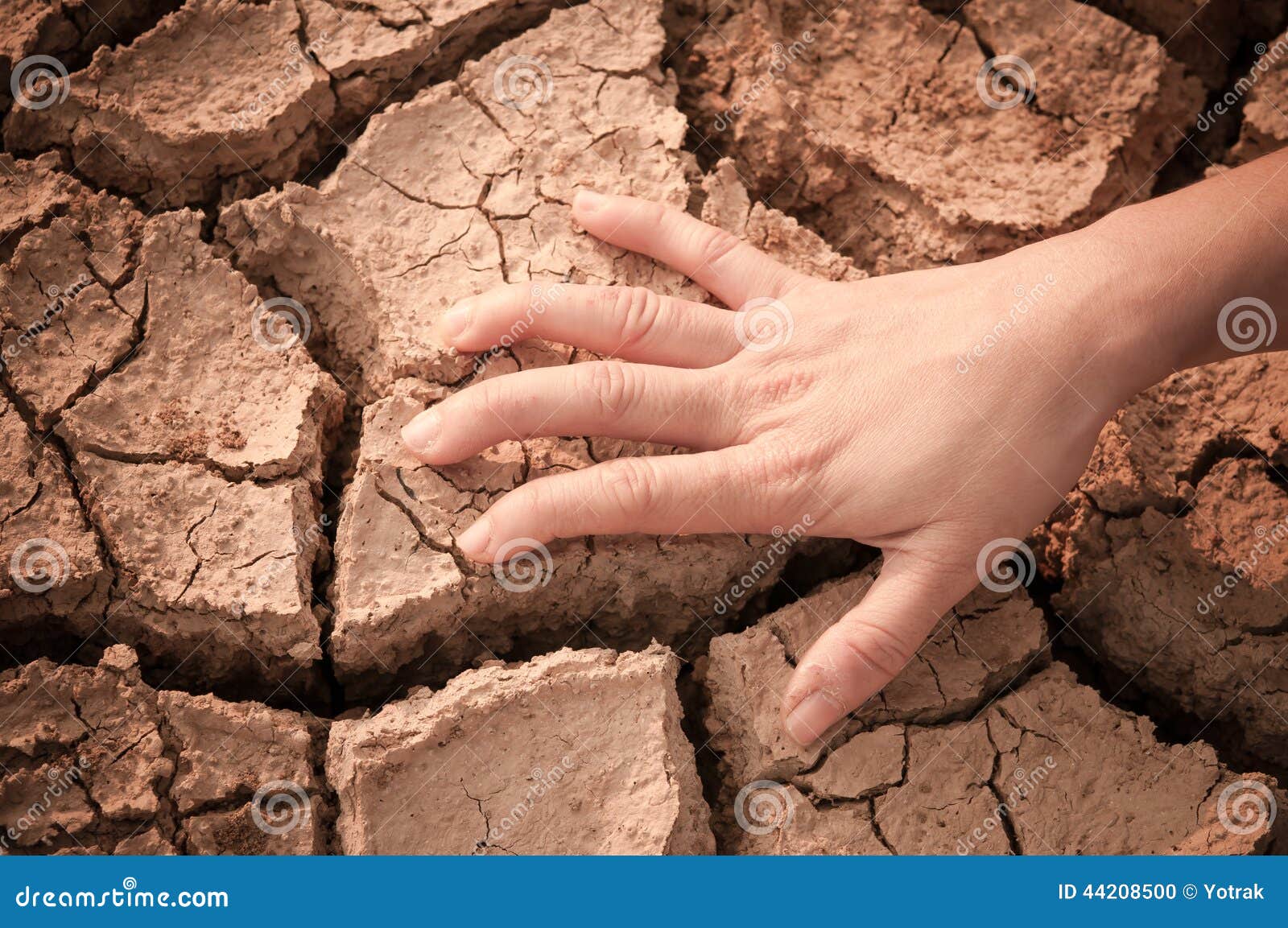 Hand on dry land stock photo. Image of detail, dead, rough - 44208500