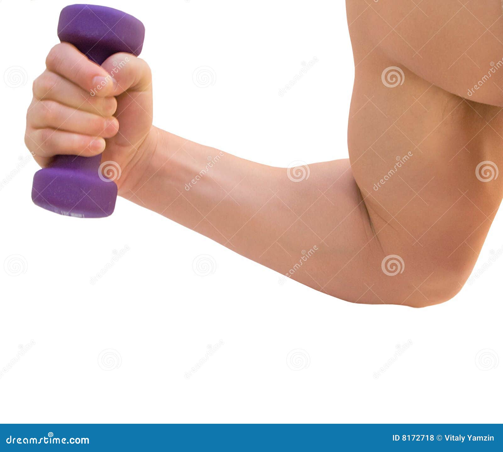 Hand with dumbbell stock photo. Image of sport, muscle - 8172718