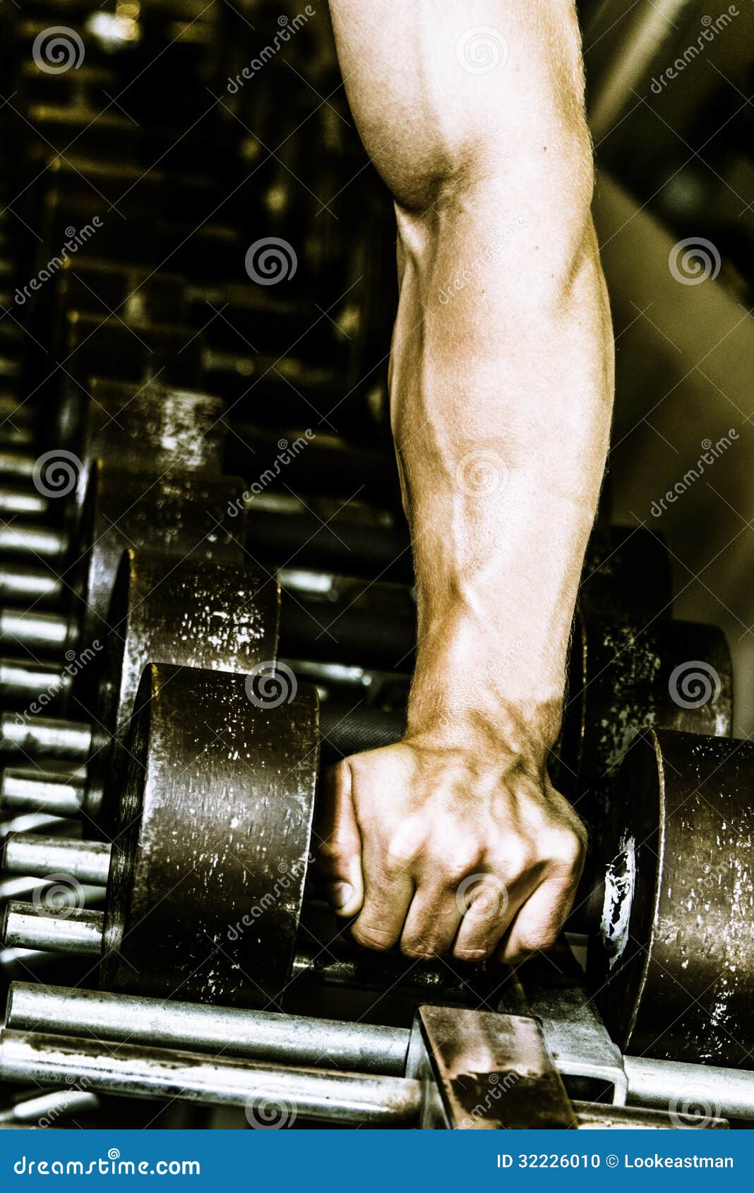 Hand on dumbbells stock photo. Image of fitness, dumbbells - 32226010