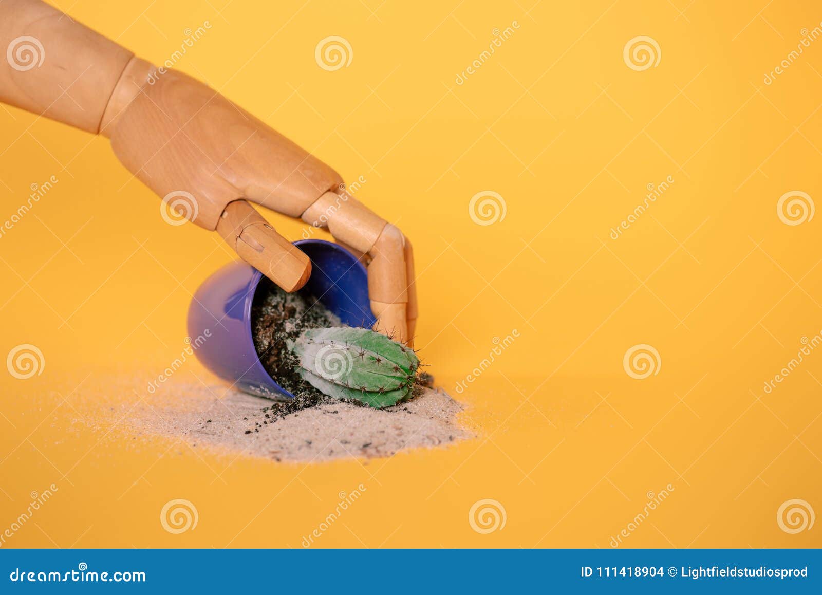Hand of Dummy and Cactus in Blue Pot Stock Photo - Image of growing ...