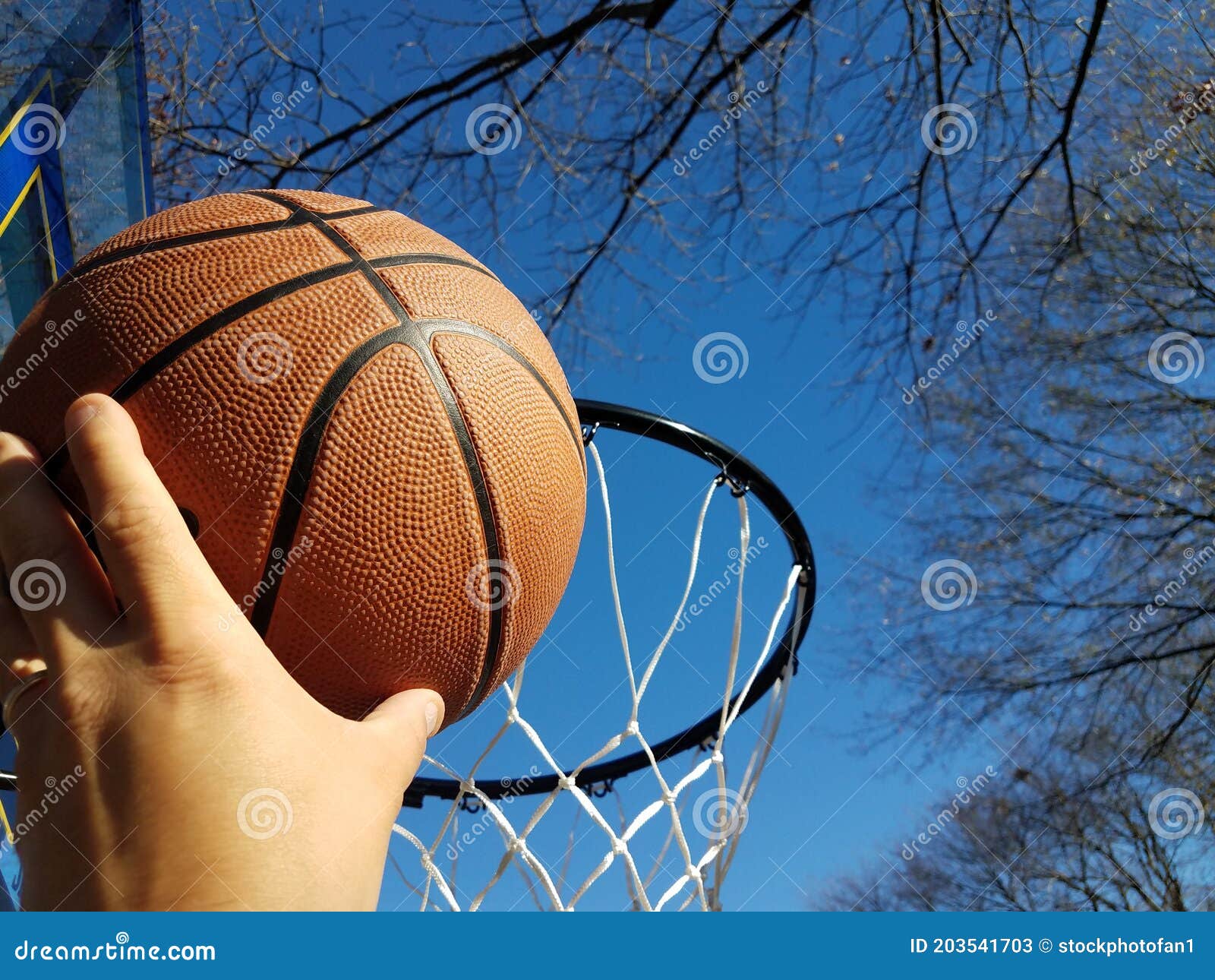 Hand Dunking a Basketball with Hoop and Trees Stock Image - Image of ...