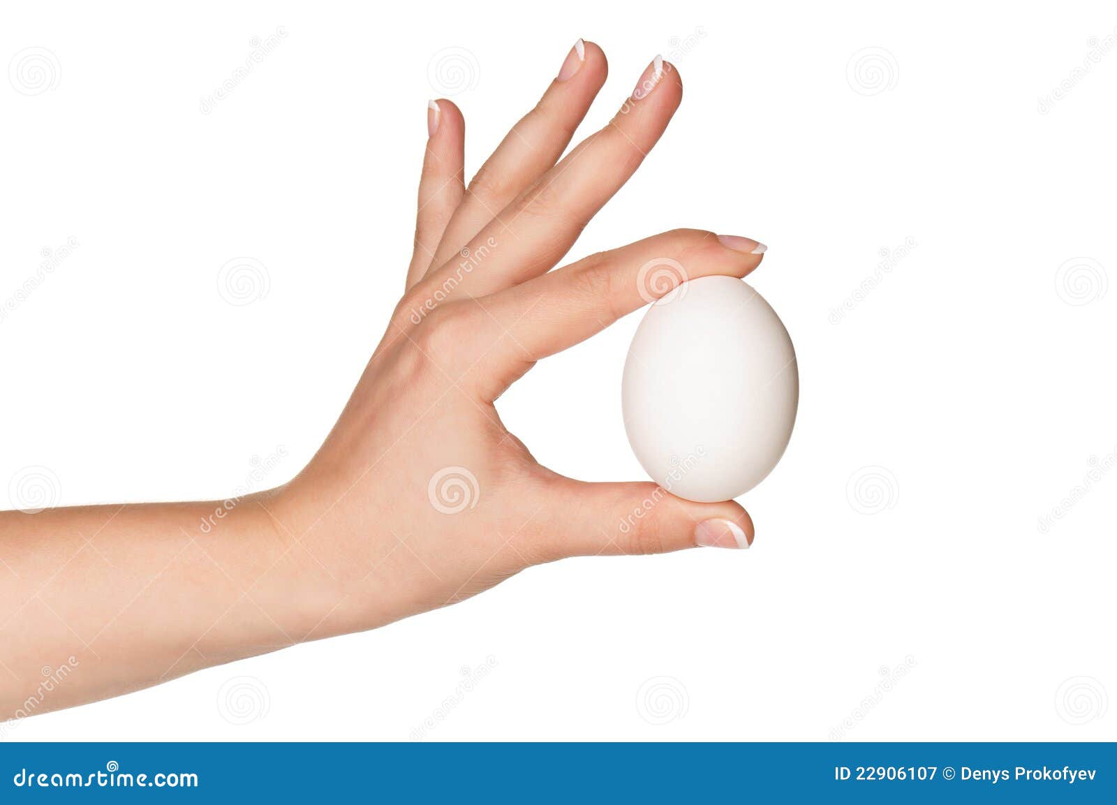 Hand with egg stock image. Image of human, girl, healthy - 22906107