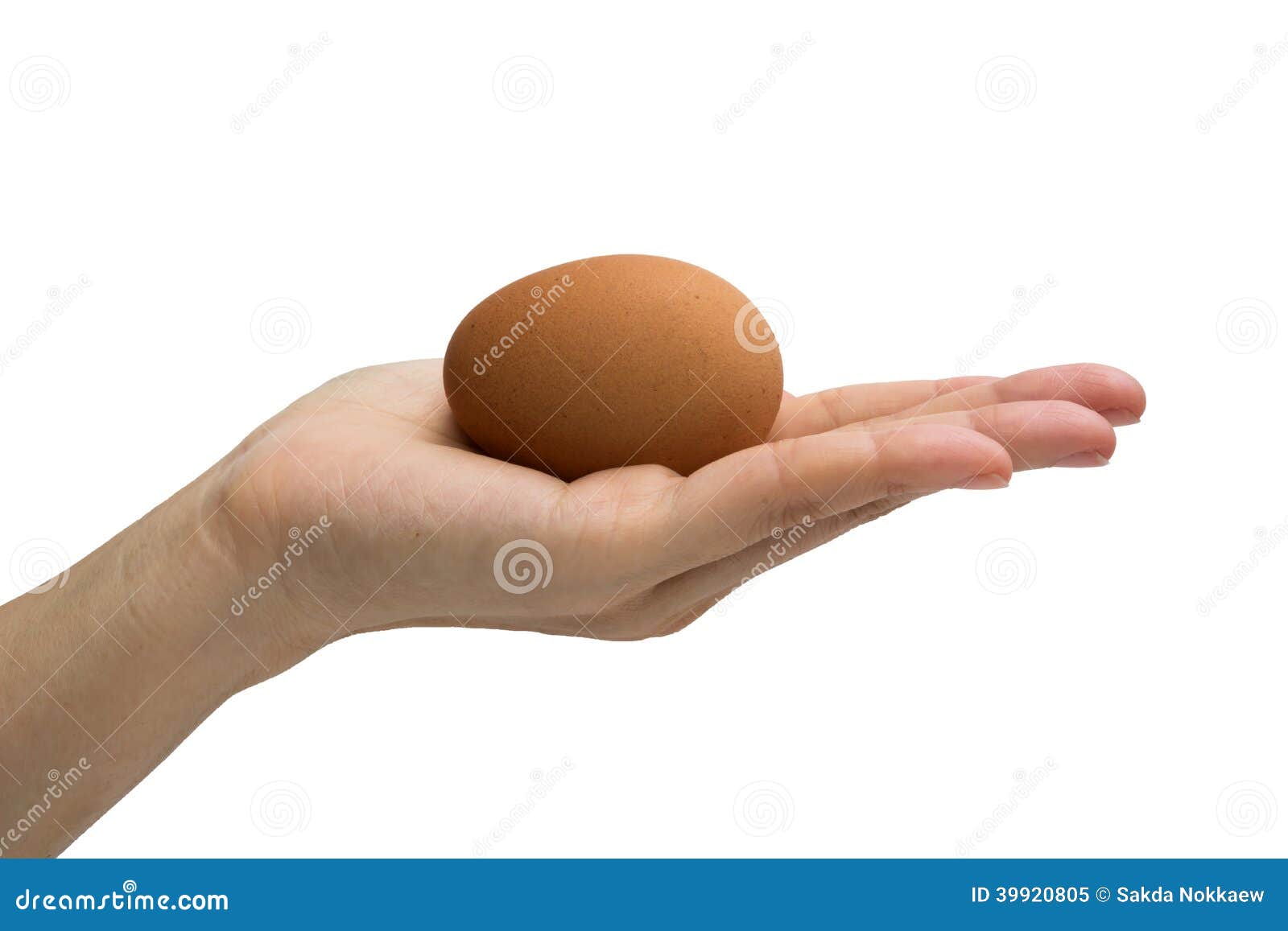 Hand eggs stock image. Image of background, gently, hand - 39920805