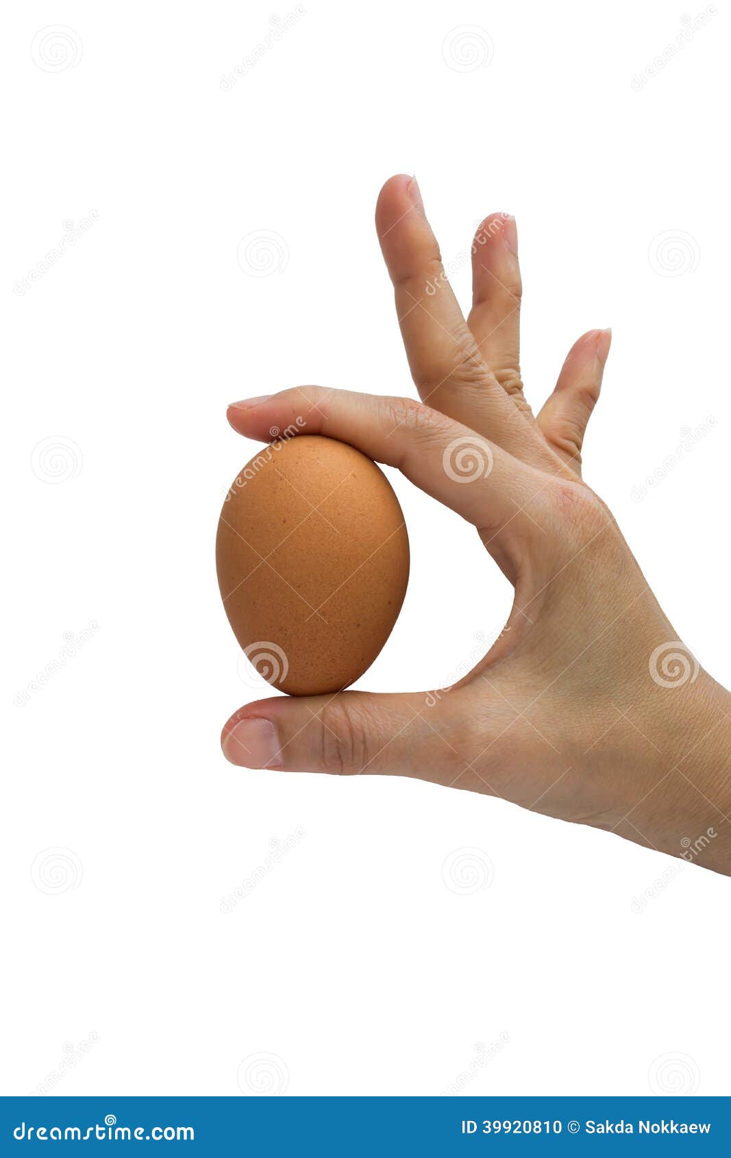 Hand eggs stock photo. Image of food, organic, design - 39920810