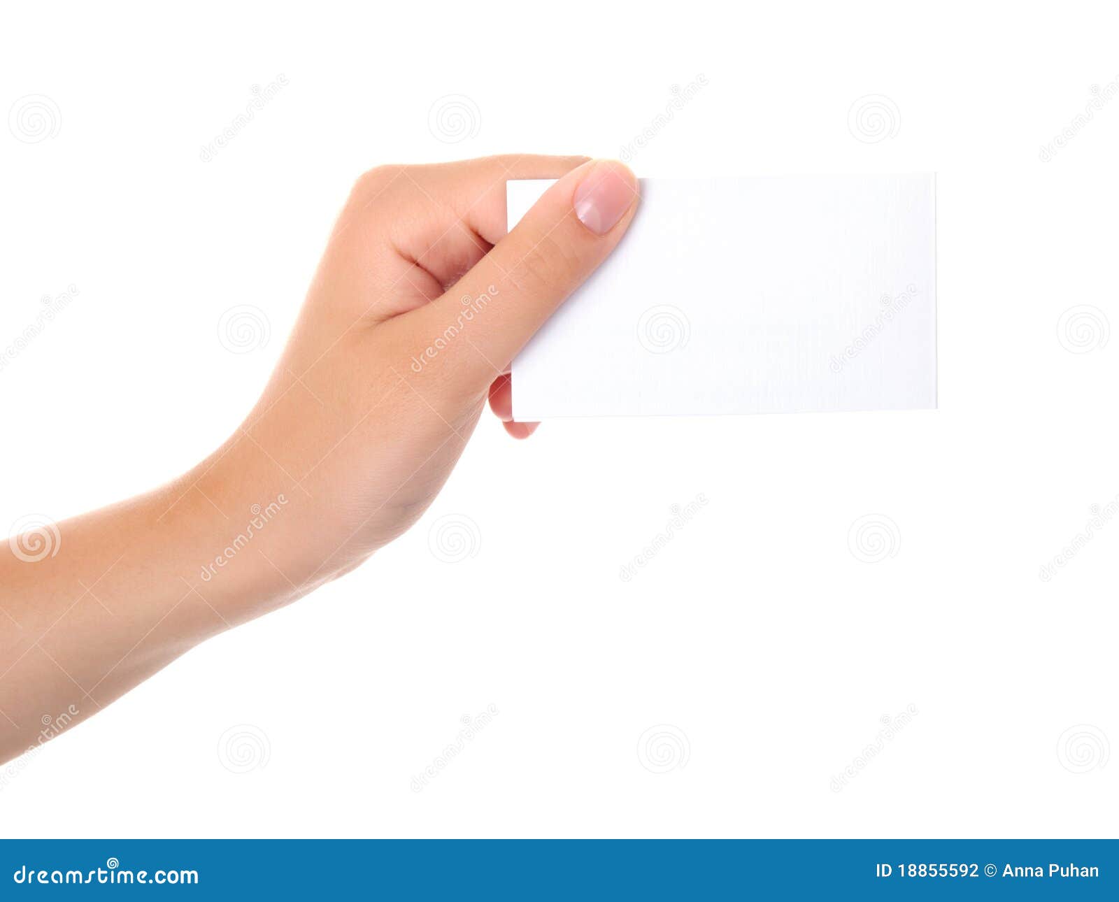 Hand an Empty Business Card Stock Photo - Image of caucasian ...