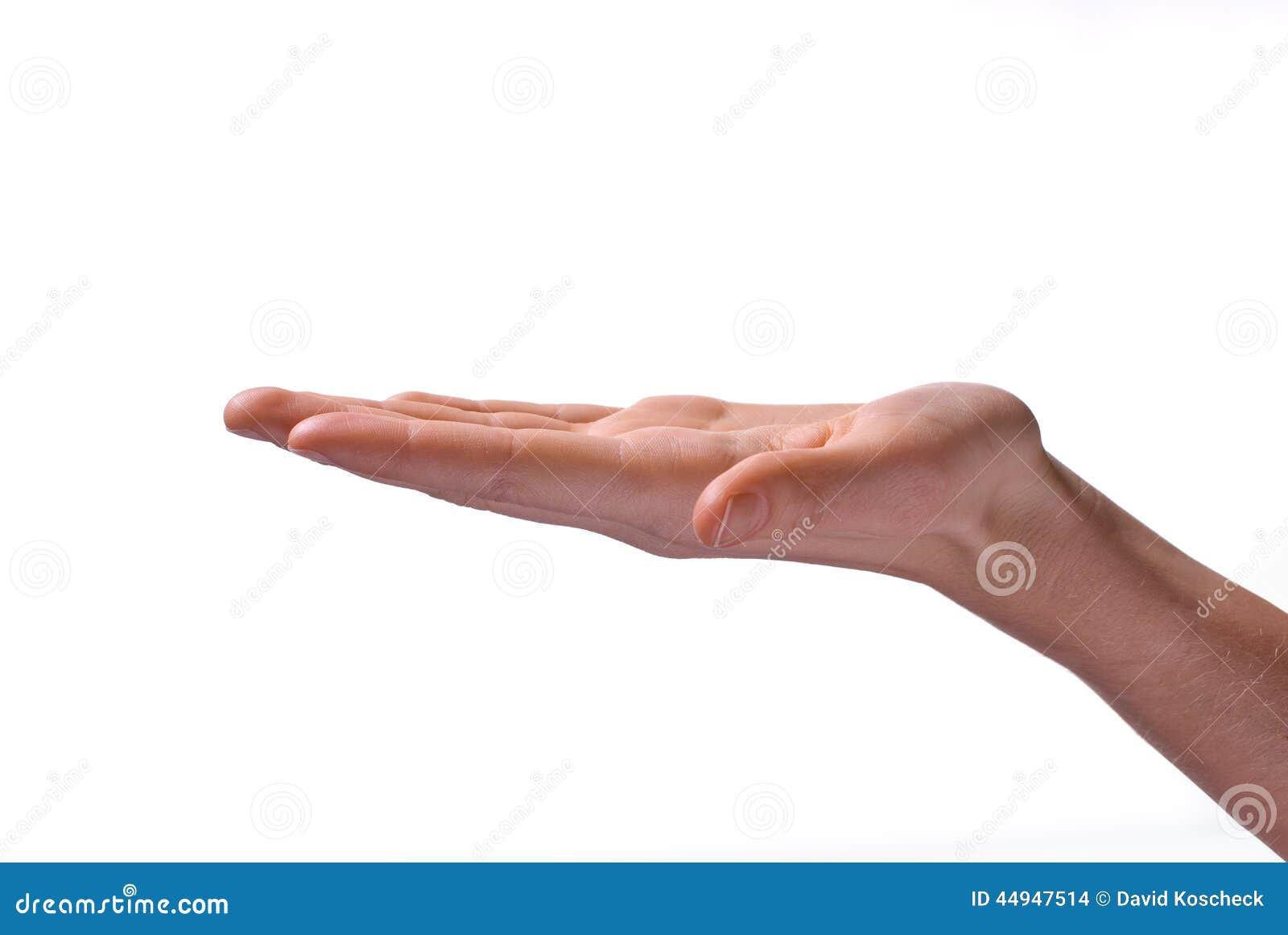 Flat Lay Hand With Phone. The Hand Holds A Smartphone With A White ...