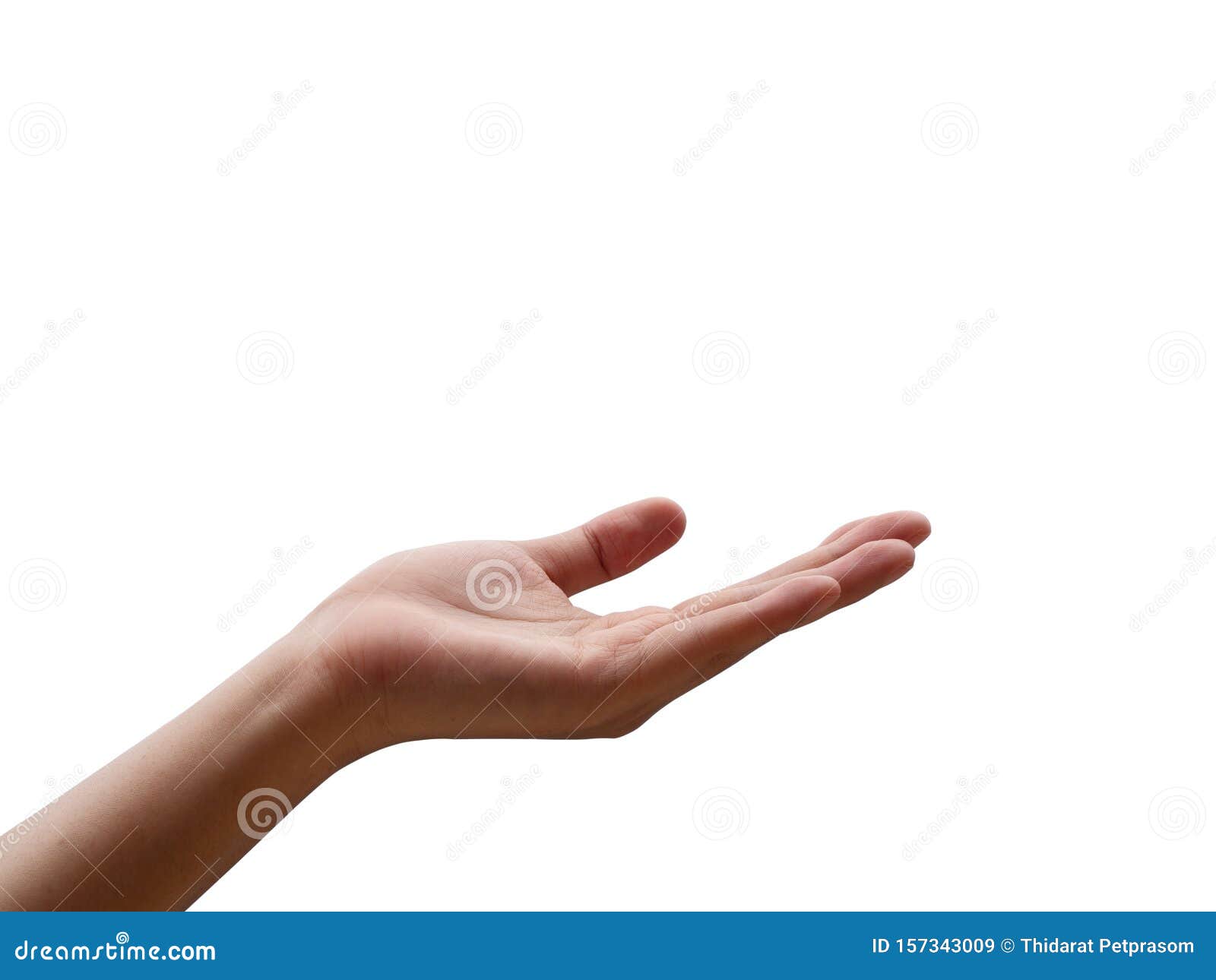 Hand. Empty Open Woman Hand or Face Up Hand Isolated in White ...
