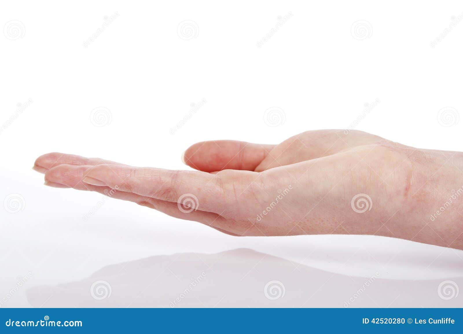 Hand stock photo. Image of space, hand, empty, copy, flat - 42520280