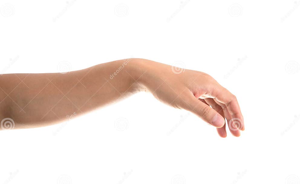 Hand Facing Down on White Background Stock Image - Image of hand ...