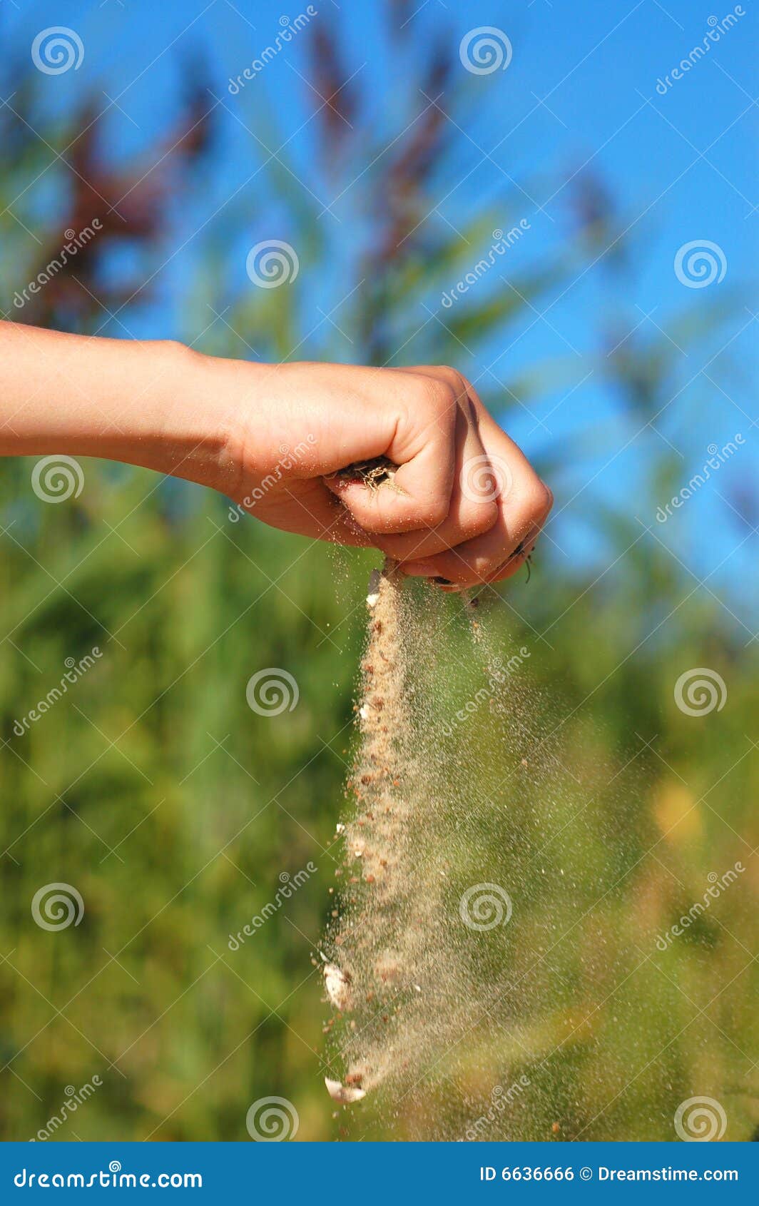 Hand with falling sand stock photo. Image of thumb, grass - 6636666