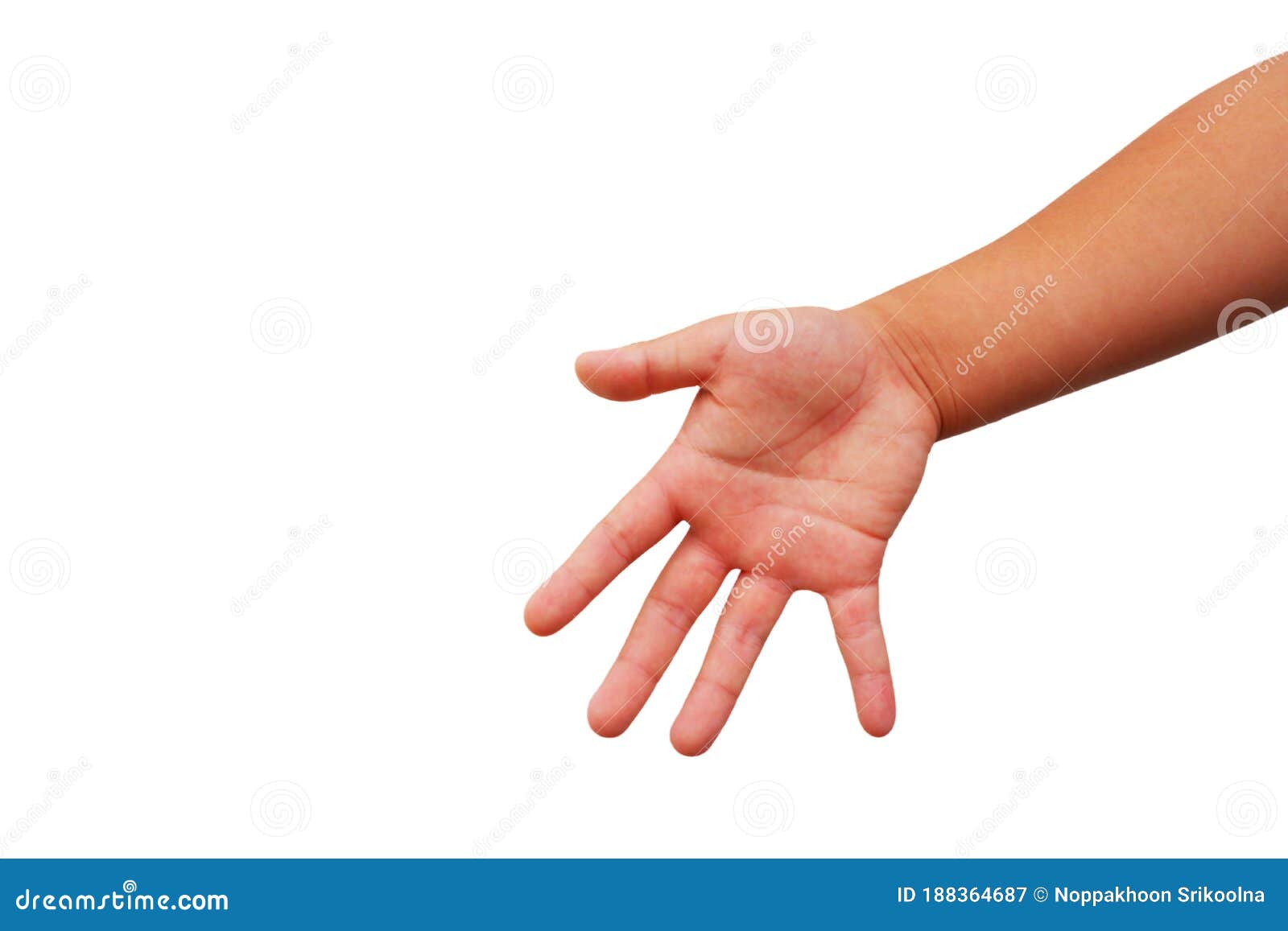 Hand of Fat Girl in Gestures on White Background Stock Image - Image of ...