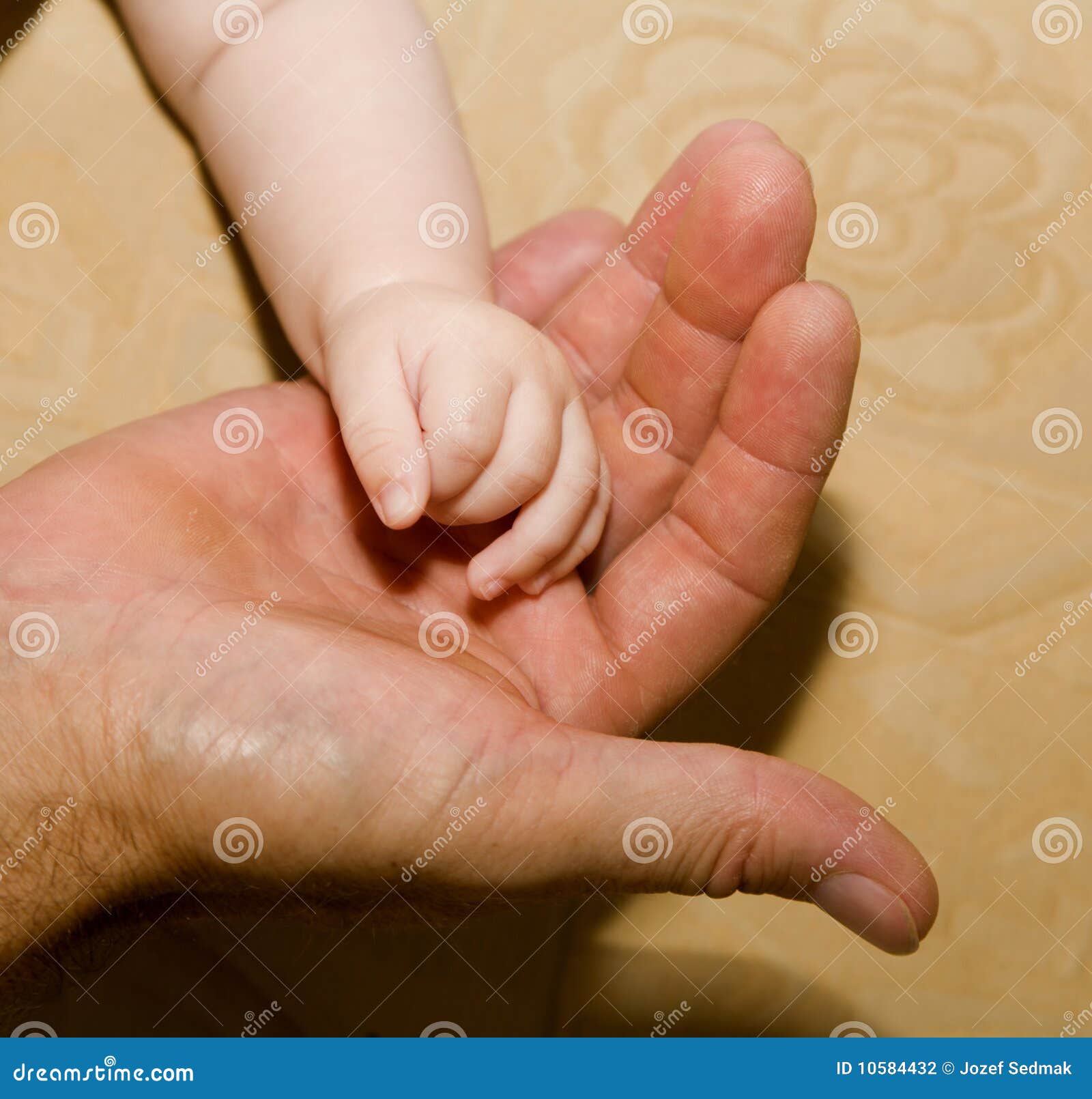 Hand of father and baby stock photo. Image of little - 10584432