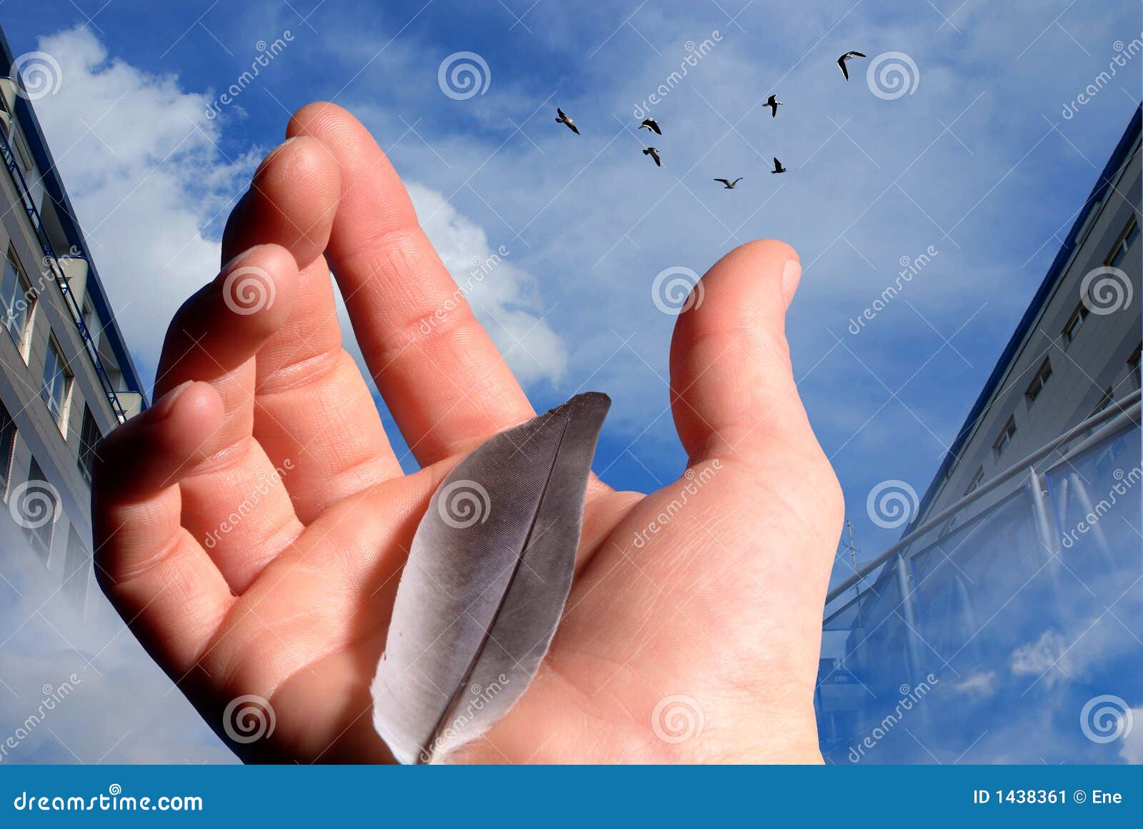 Hand and feather stock image. Image of feather, love, hand - 1438361
