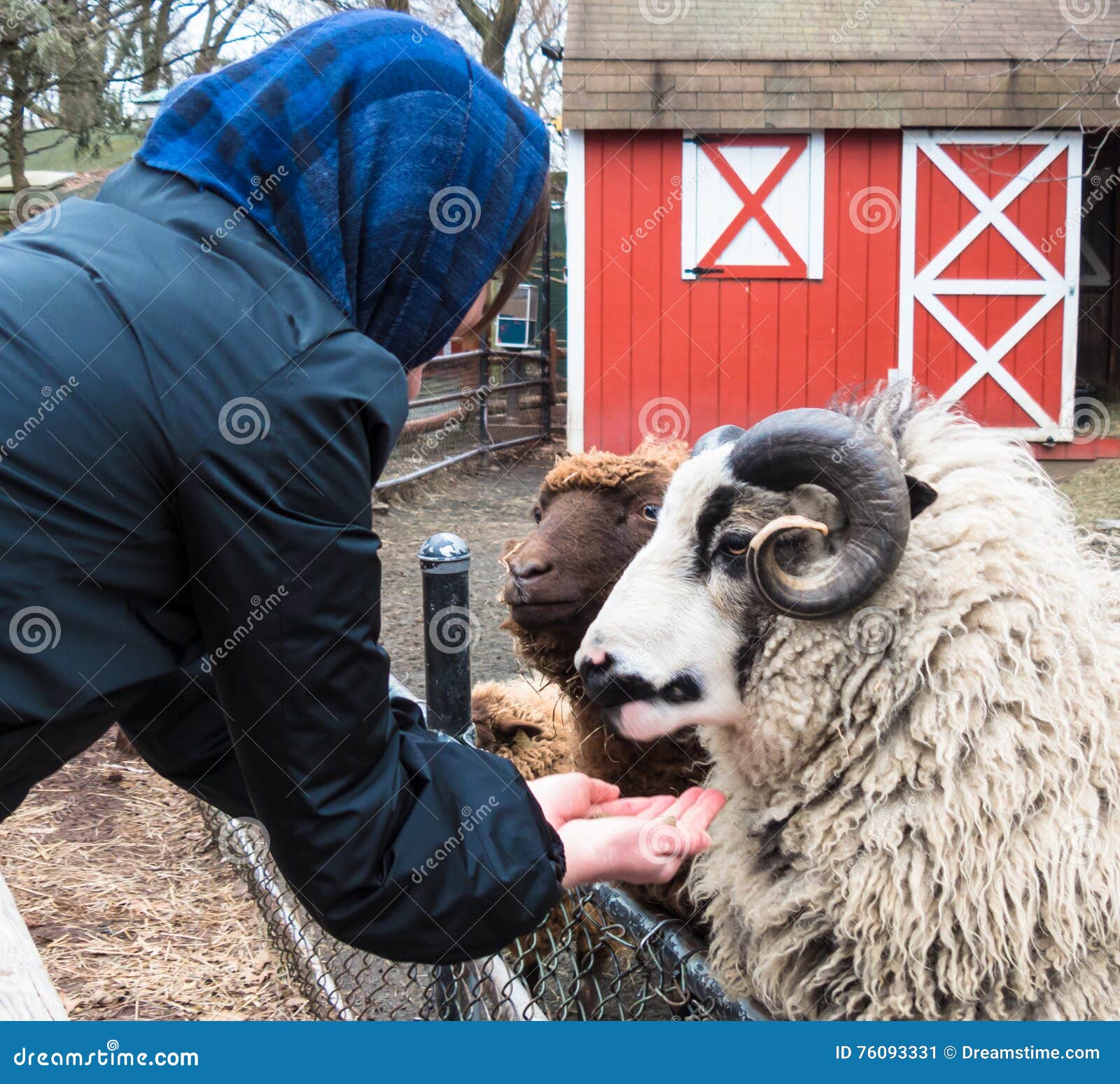 Hand-feed editorial photo. Image of girl, hand, sataten - 76093331