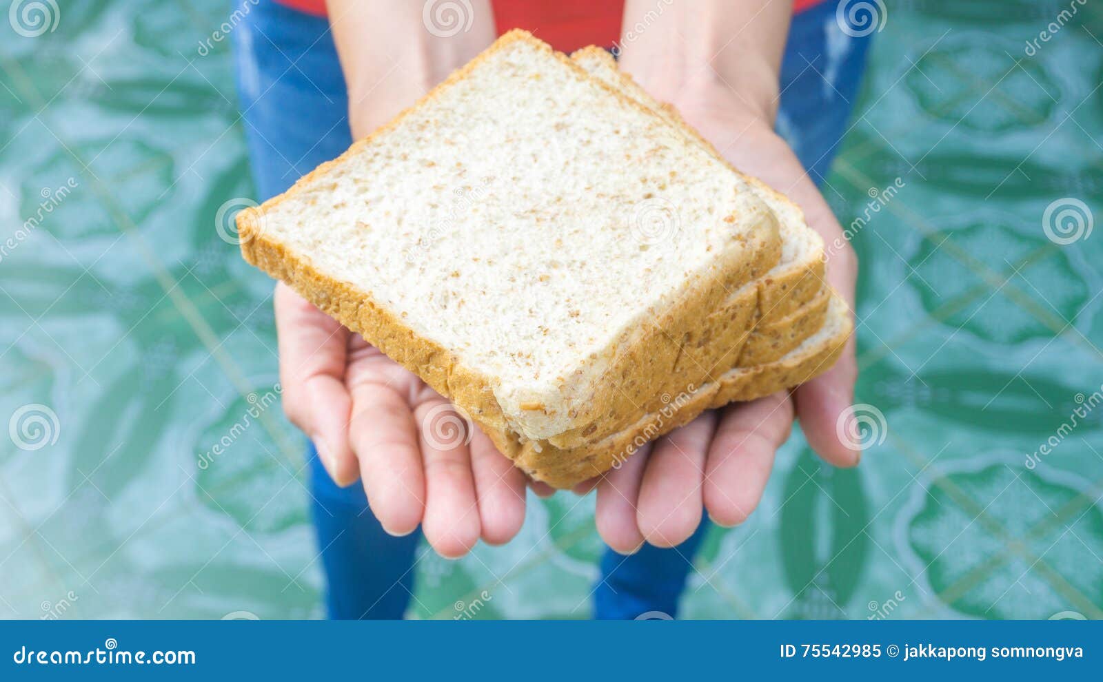 Hand Female or Women with Breads/share,give Concept Stock Image - Image ...