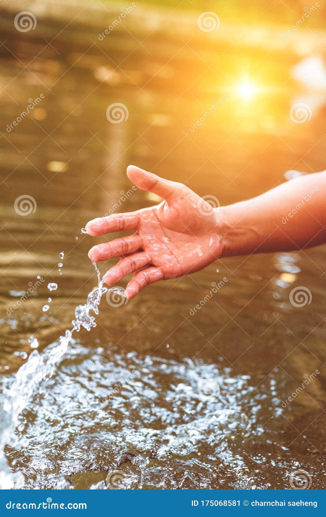 Hand Fetch Water and Have Water Splash Stock Image - Image of finger ...