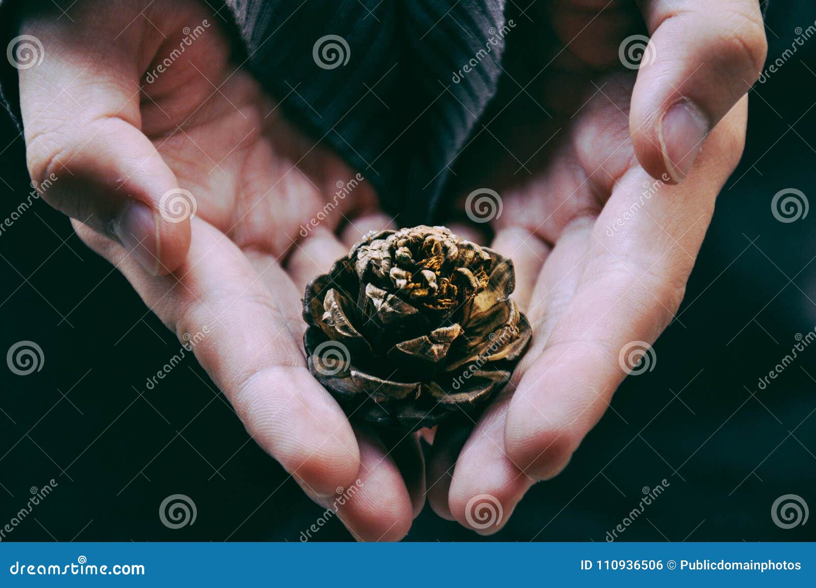 Hand, Finger, Macro Photography Picture. Image: 110936506