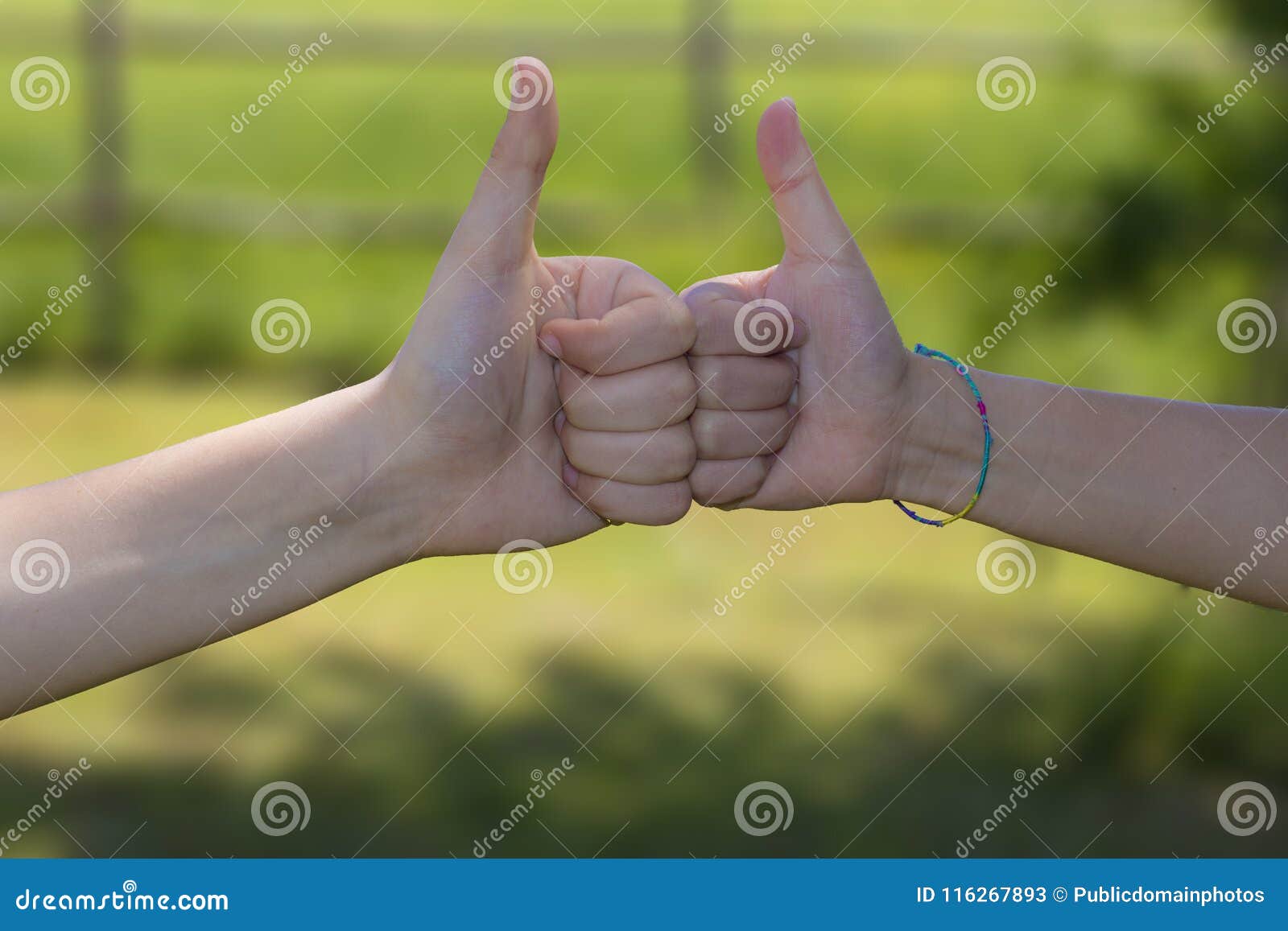 Hand, Finger, Thumb, Holding Hands Picture. Image: 116267893