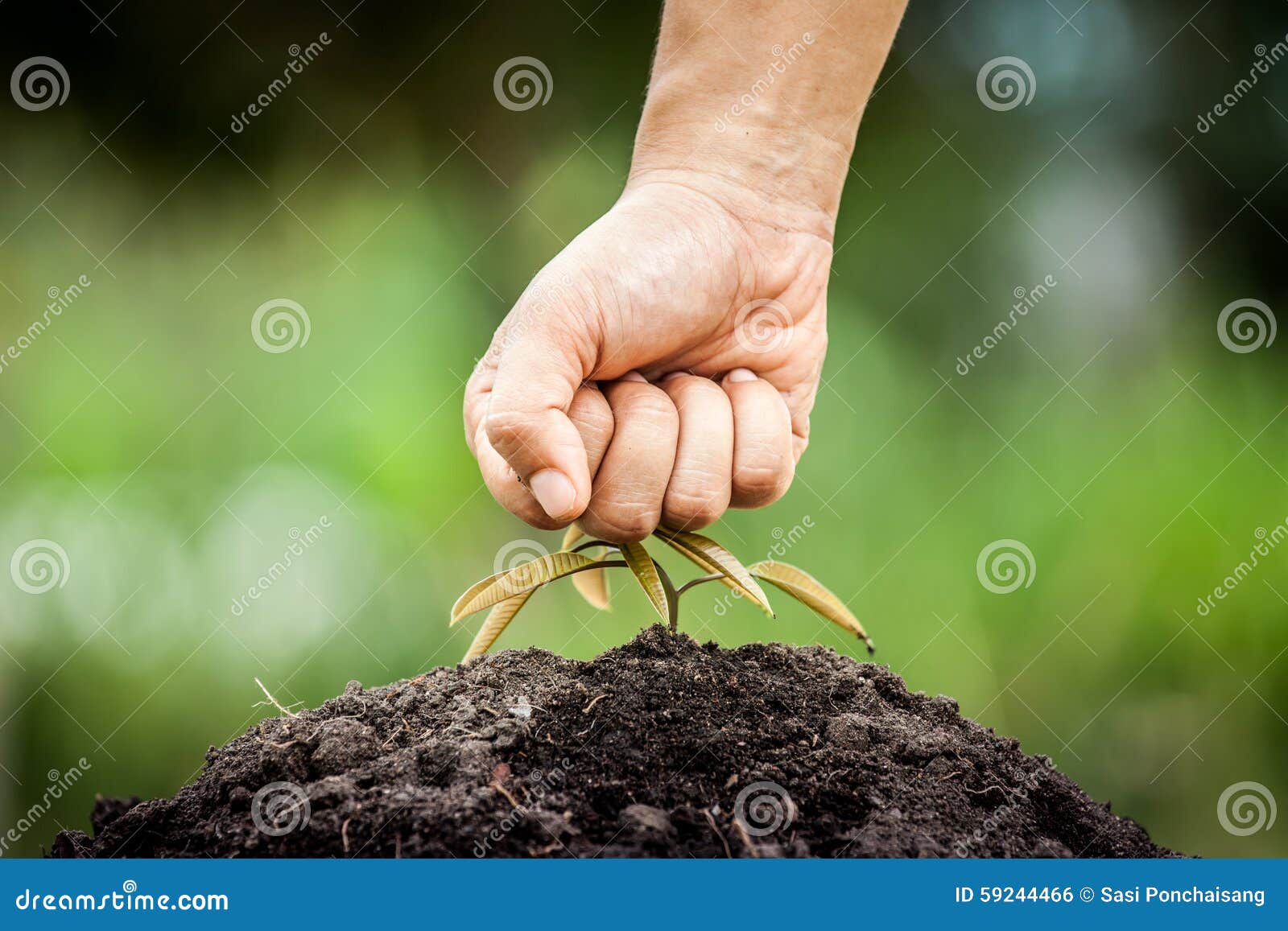 Hand Fist Smashed the Young Tree Stock Photo - Image of resistance ...