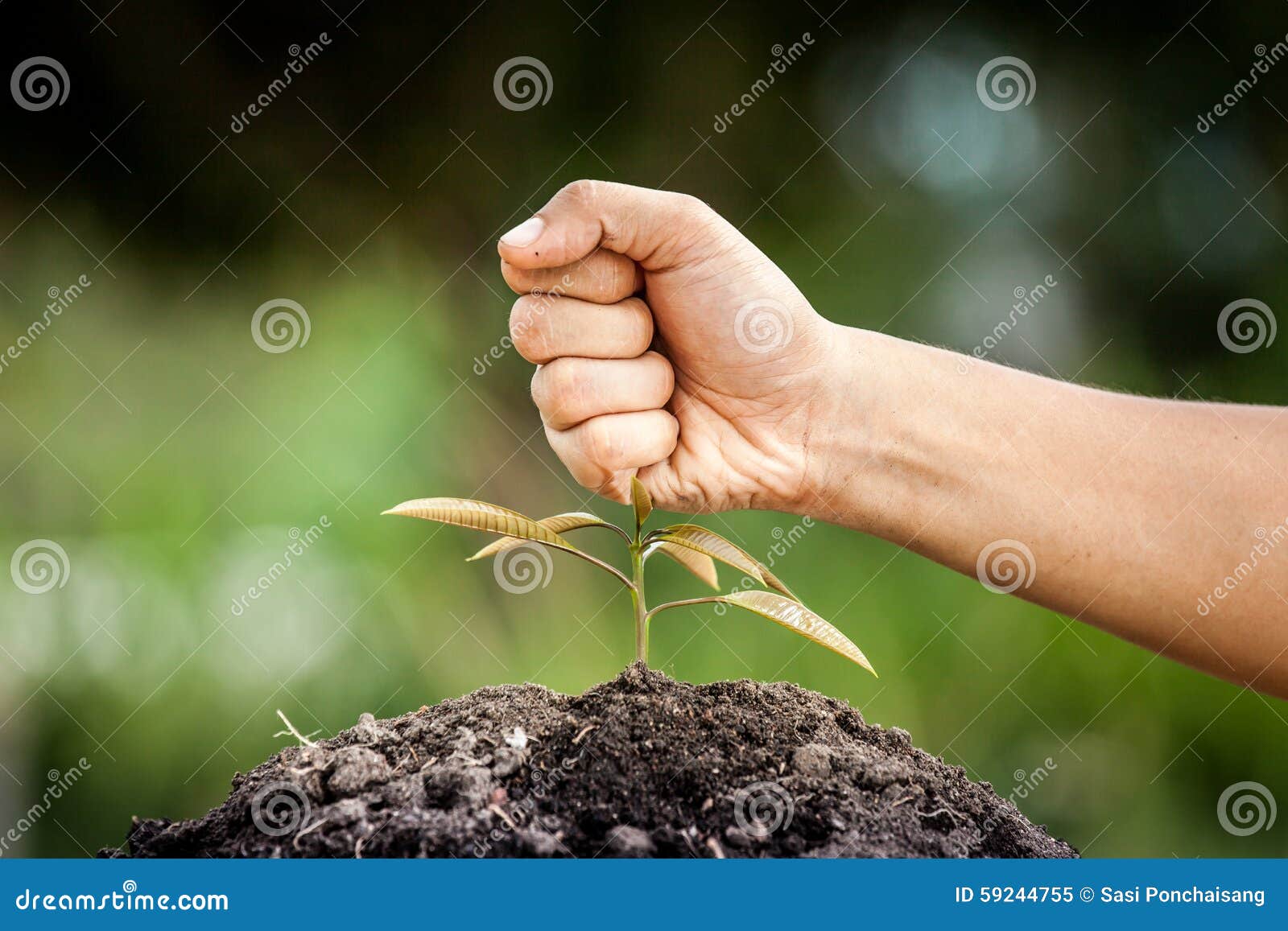 Hand Fist Smashed the Young Tree Stock Image - Image of achievement ...