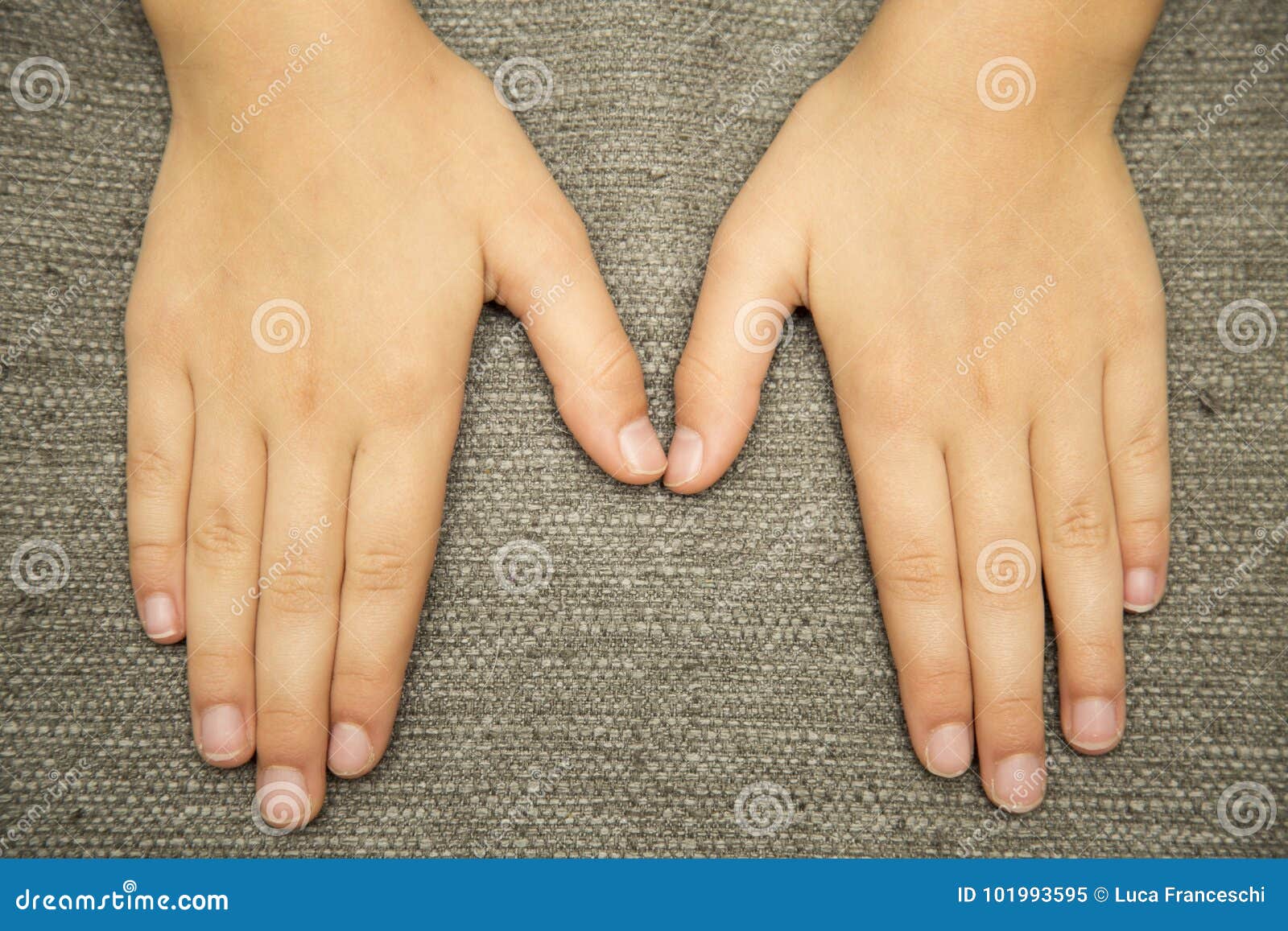 Hand stock image. Image of body, collection, hand, group - 101993595