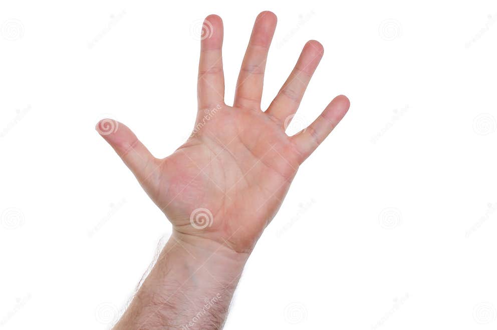 Hand, five fingers stock image. Image of four, backgrounds - 41329005
