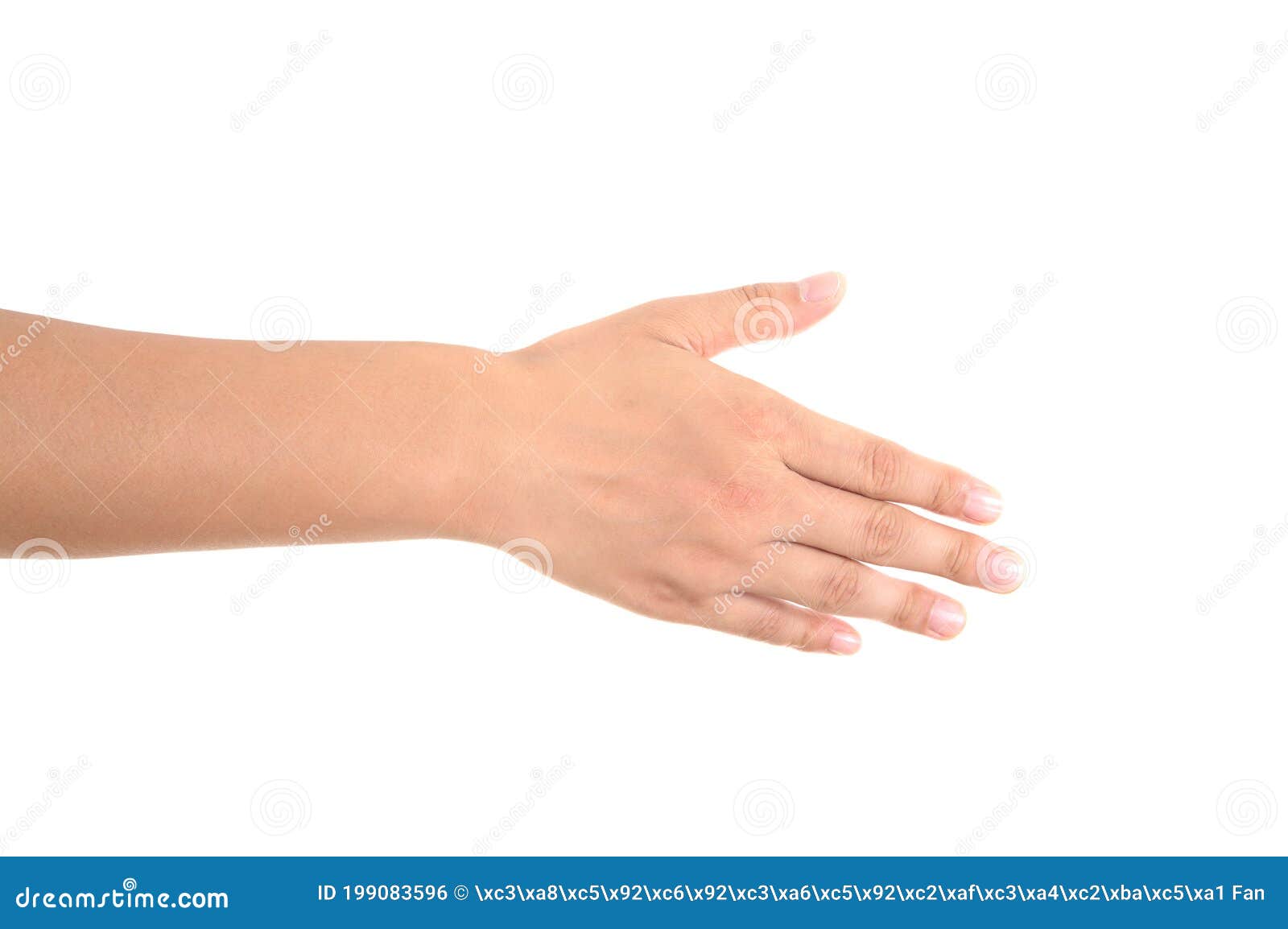 The Hand with Five Fingers Spread Out the Back of the Hand Facing the ...