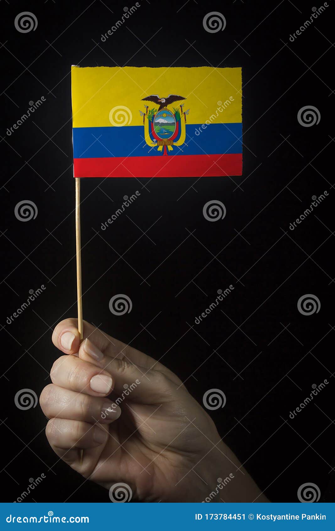 Hand with flag of Ecuador stock image. Image of woman - 173784451
