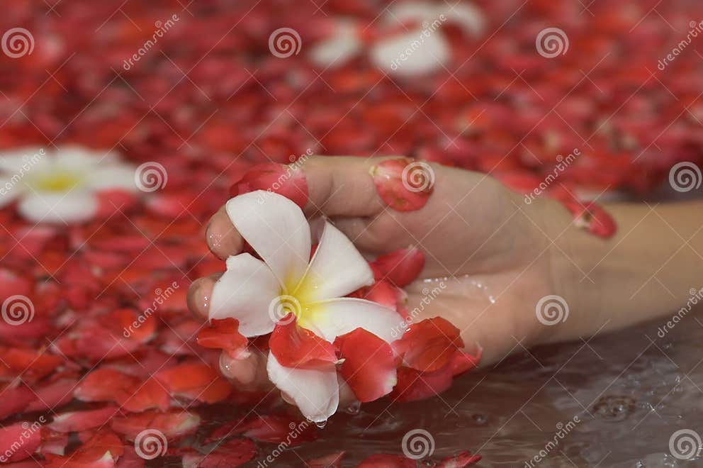 Hand with flower stock photo. Image of flower, theraphy - 763952