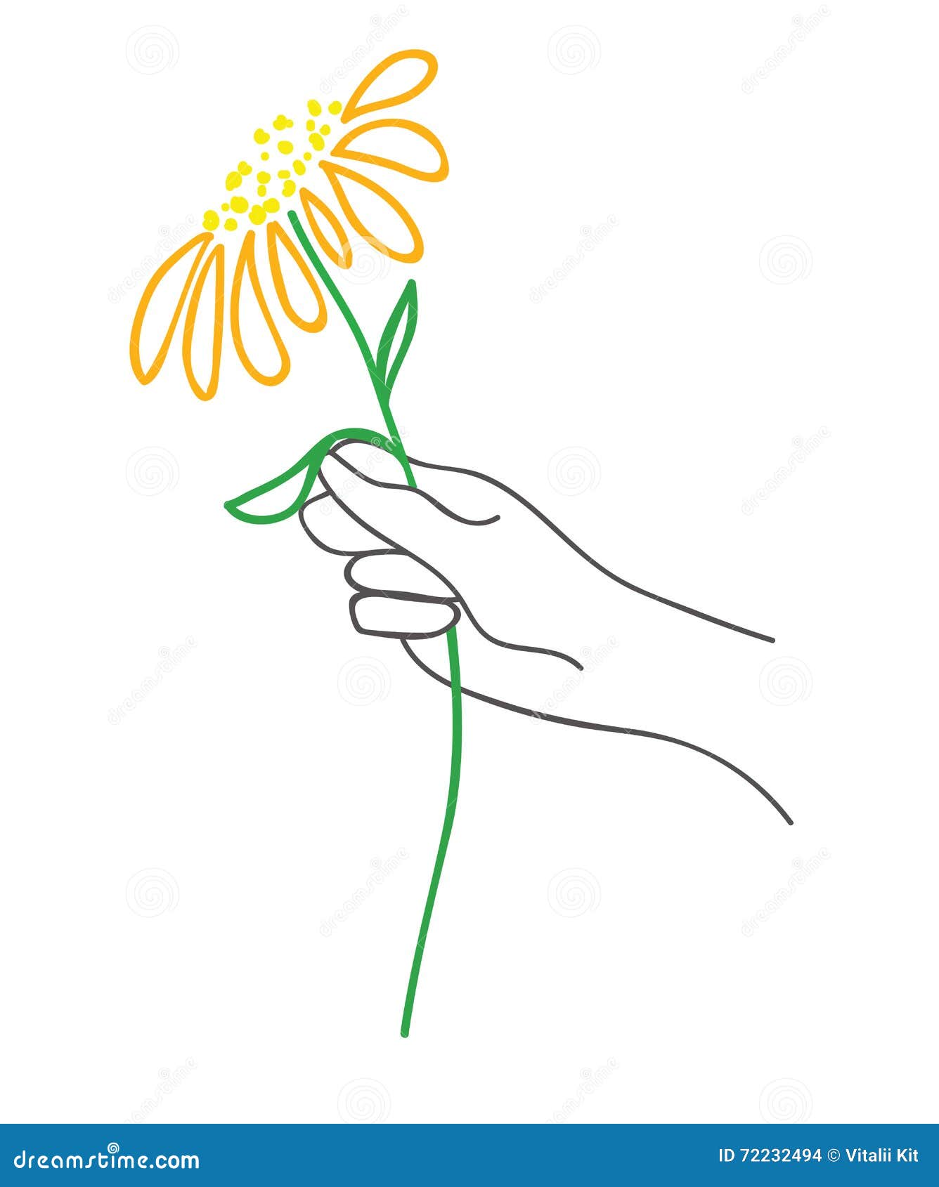 Hand with Flower. Vector Illustration. Stock Vector - Illustration of ...