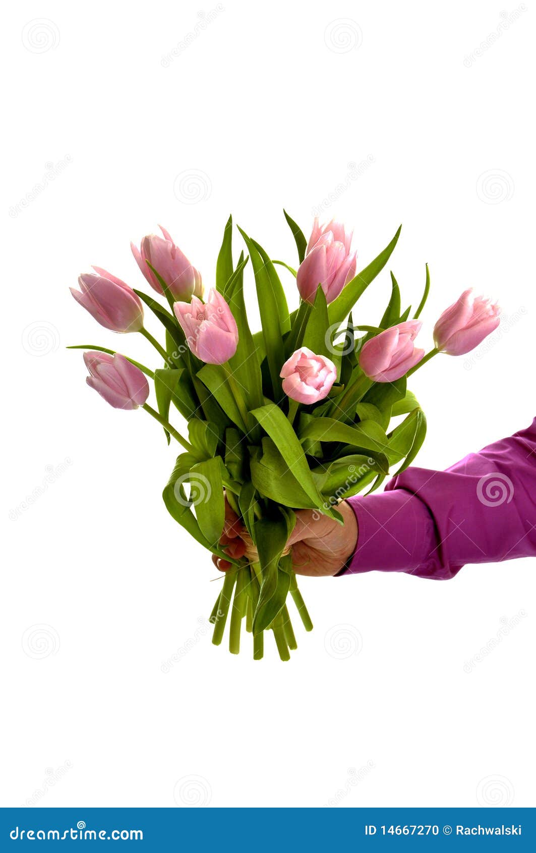 Hand with flowers stock photo. Image of present, concept - 14667270