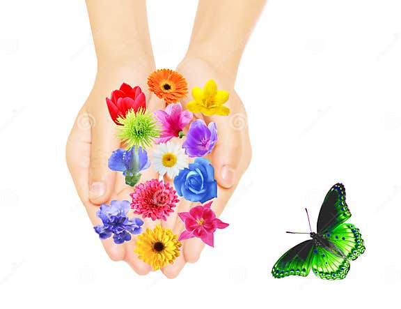 Hand and flowers stock photo. Image of concept, ecologic - 7431444