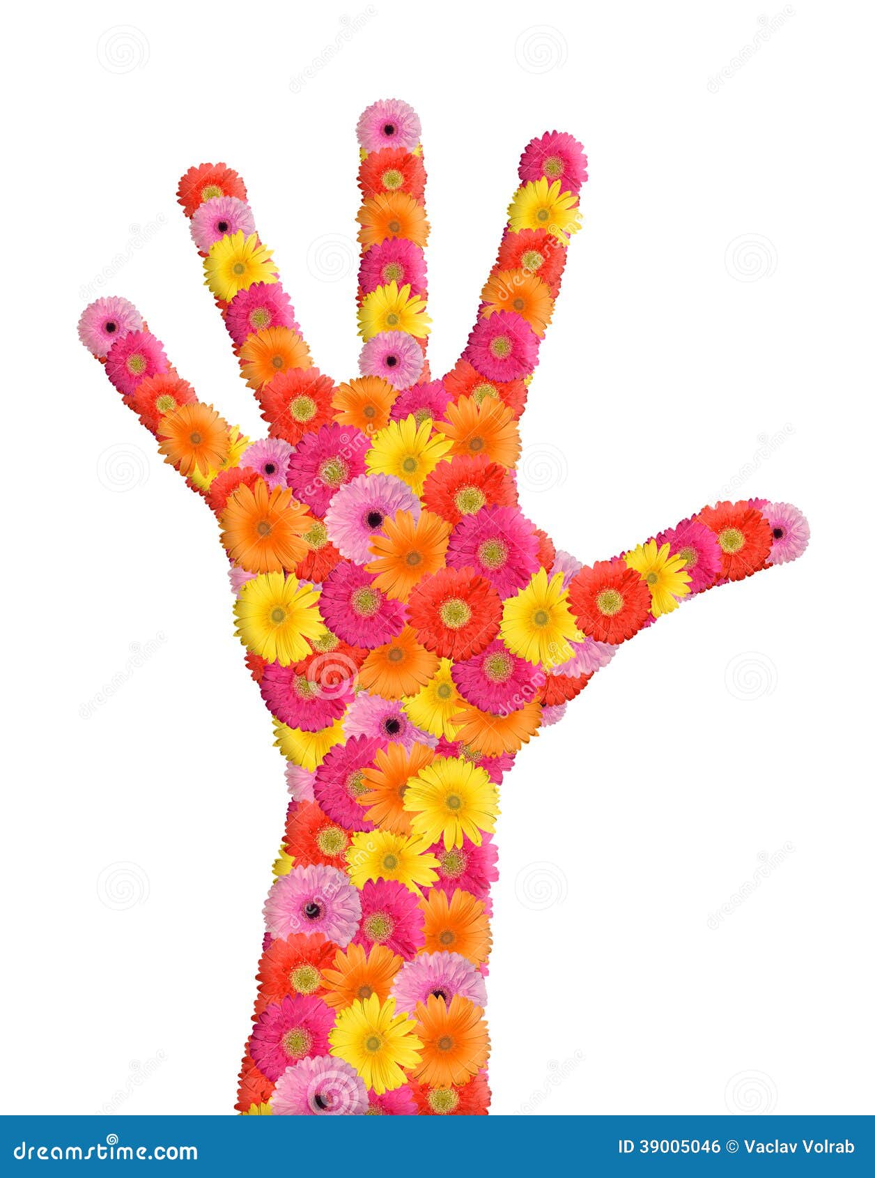 Hand from flowers stock photo. Image of background, body - 39005046
