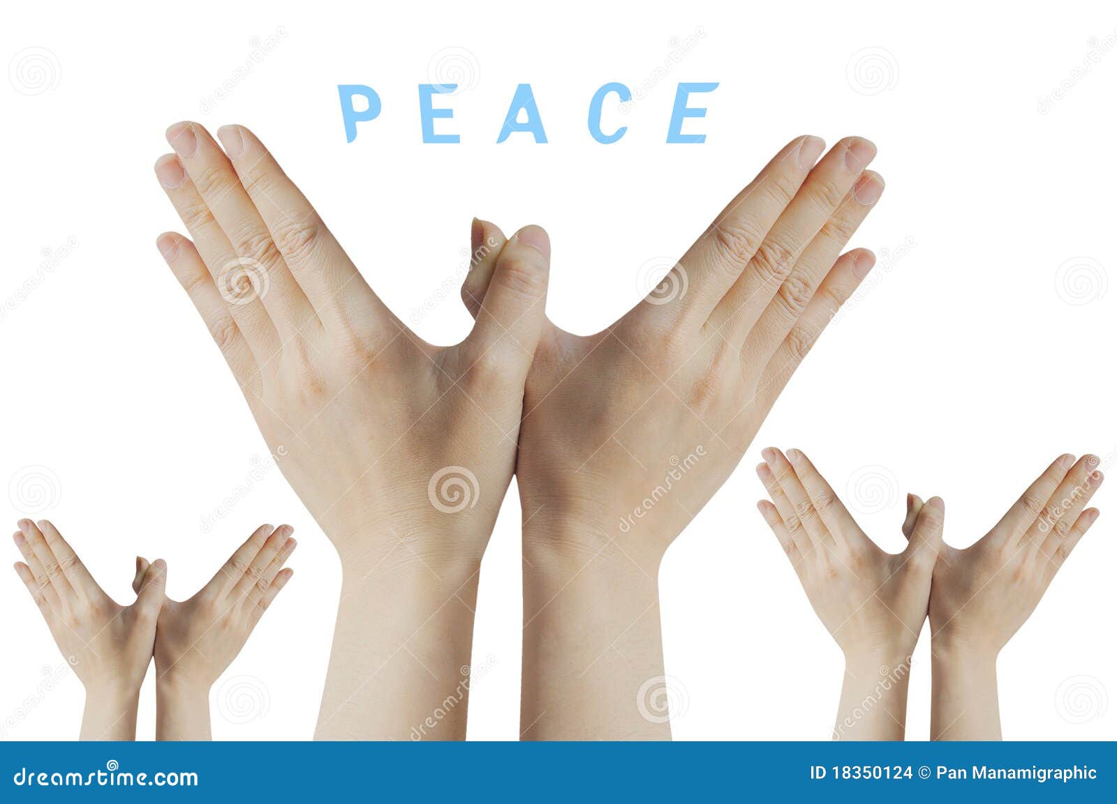 Hand flying stock photo. Image of human, middle, freedom - 18350124