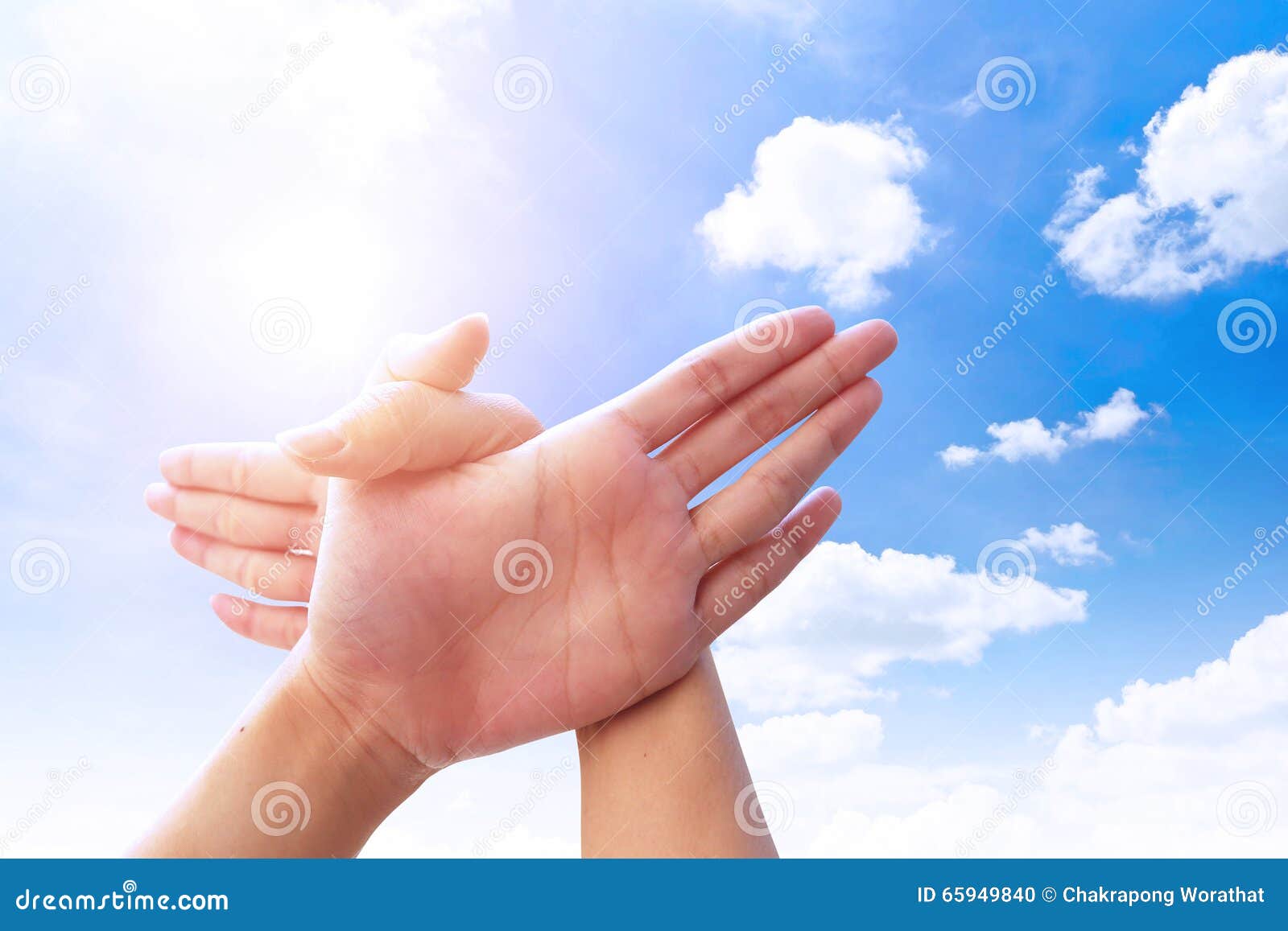 Hand Flying Bird on Cloudy and Sky. Stock Photo - Image of flying, blue ...