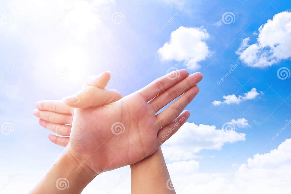 Hand Flying Bird on Cloudy and Sky. Stock Photo - Image of flying, blue ...