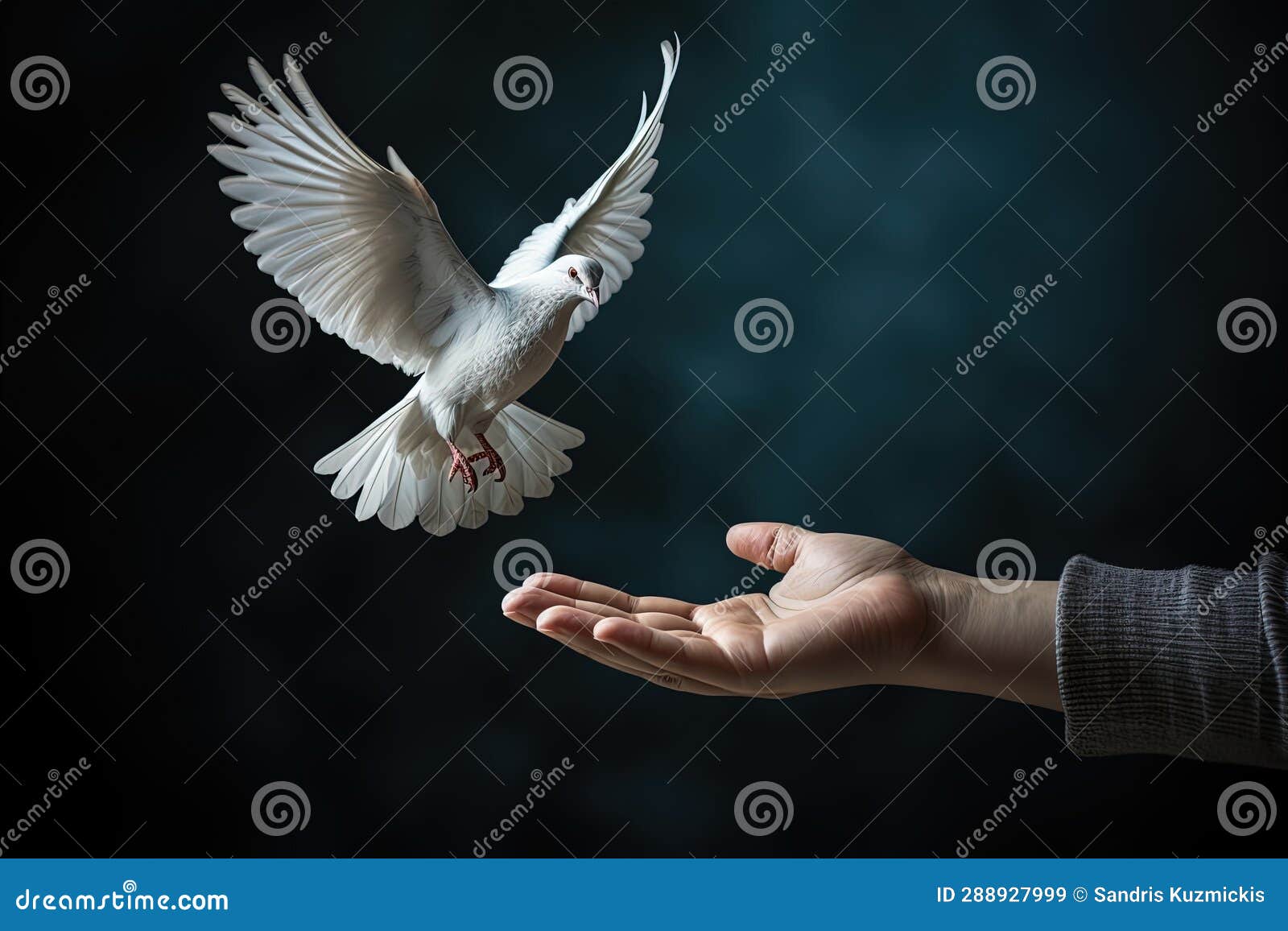 Hand and Flying White Dove. Generative AI Stock Illustration ...