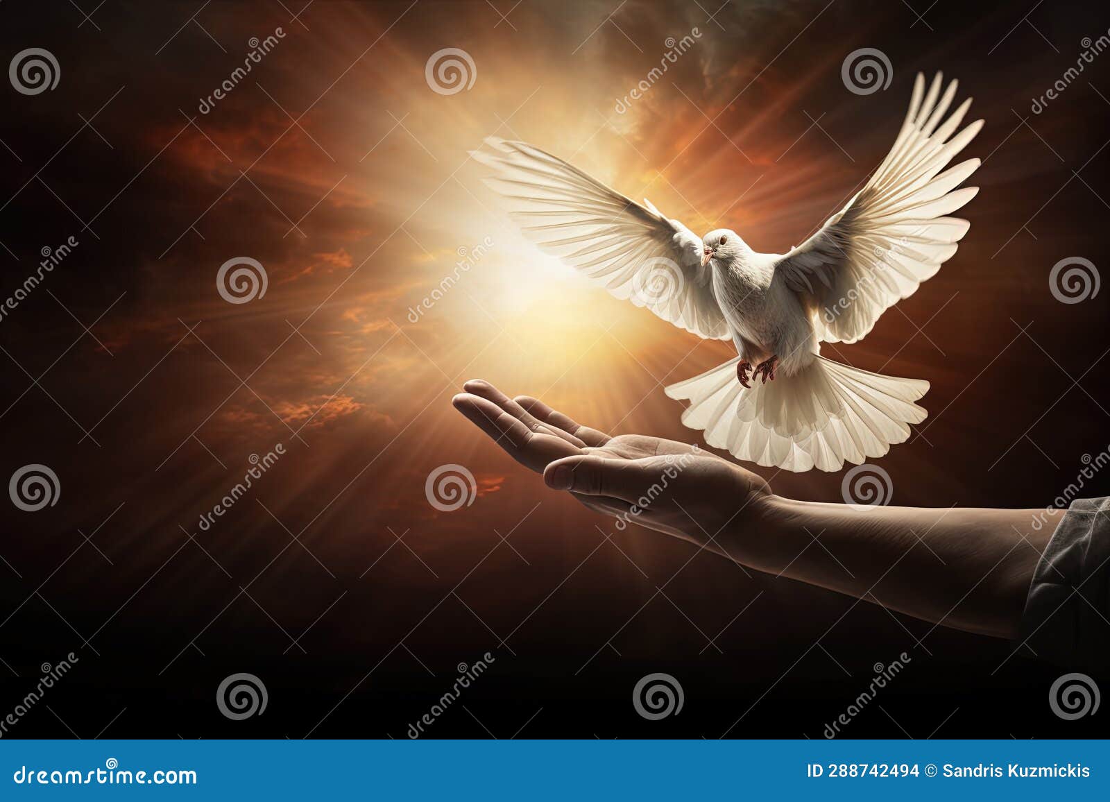 Hand and flying white dove stock illustration. Illustration of spirit ...