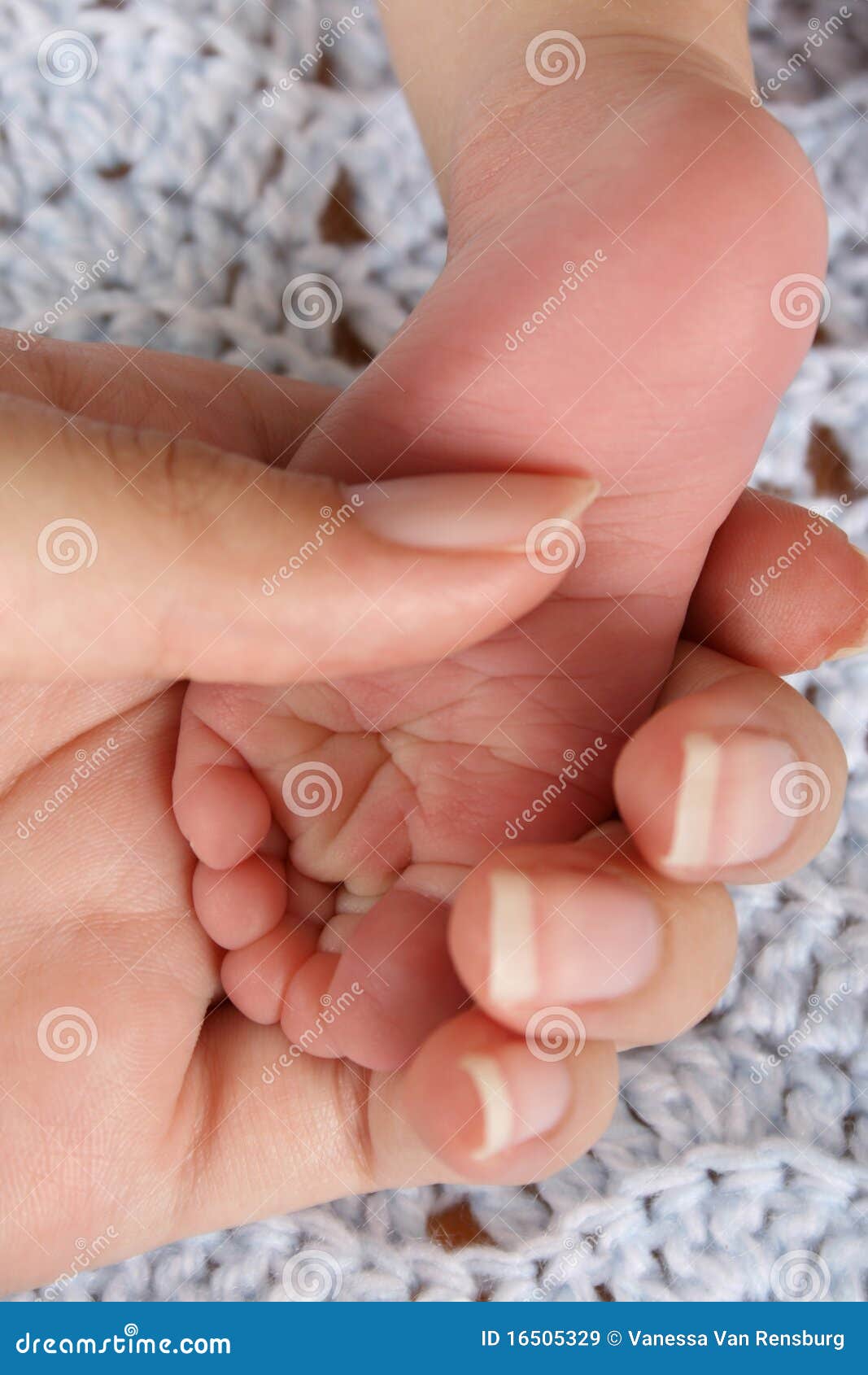 Hand and Foot stock image. Image of people, hold, relationship - 16505329