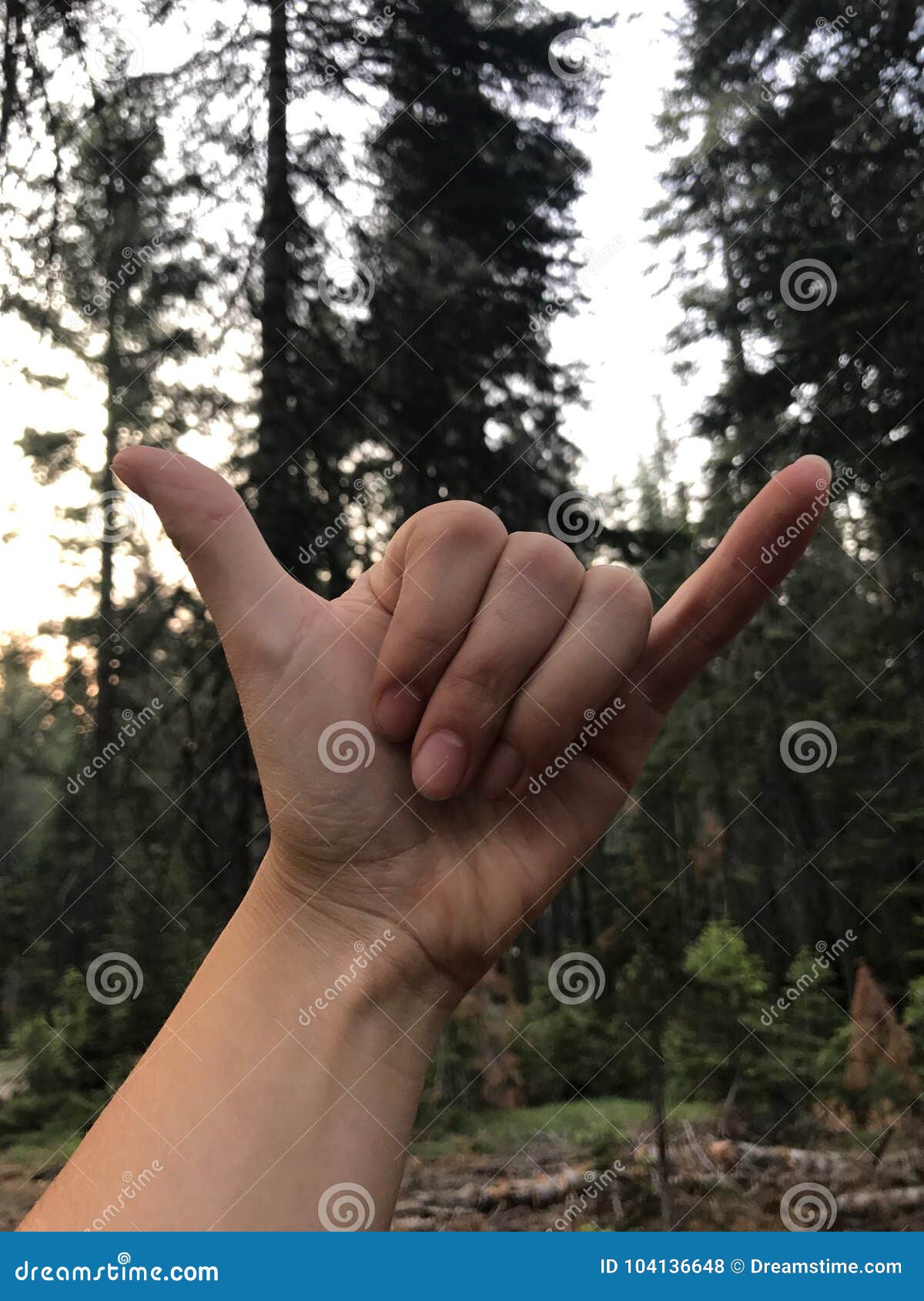 Hang Loose stock photo. Image of contrast, hand, dark - 104136648