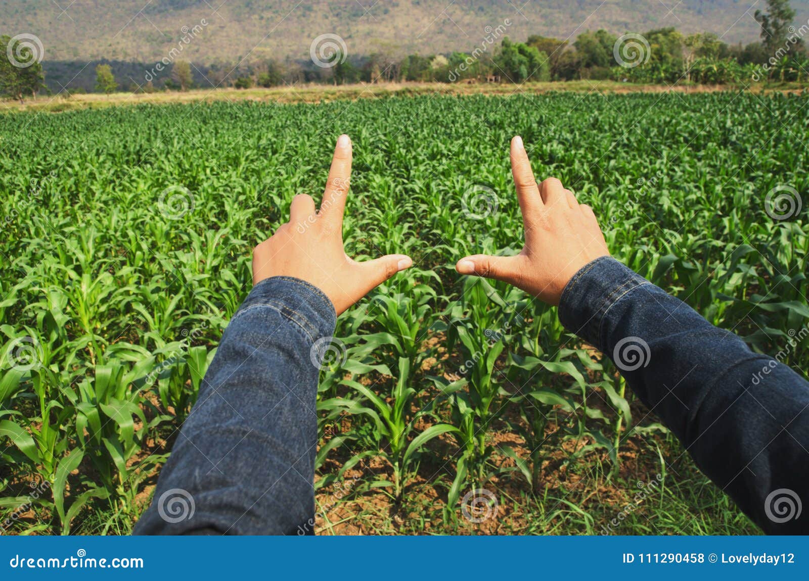 Hand framing stock photo. Image of healthy, industry - 111290458