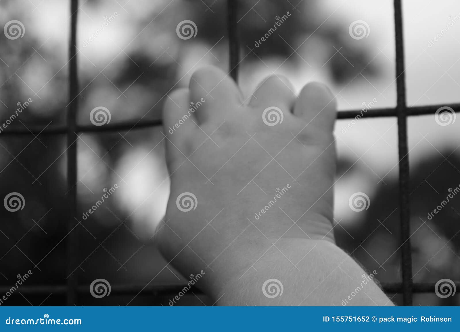 Hand of freedom stock photo. Image of hand, freedom - 155751652