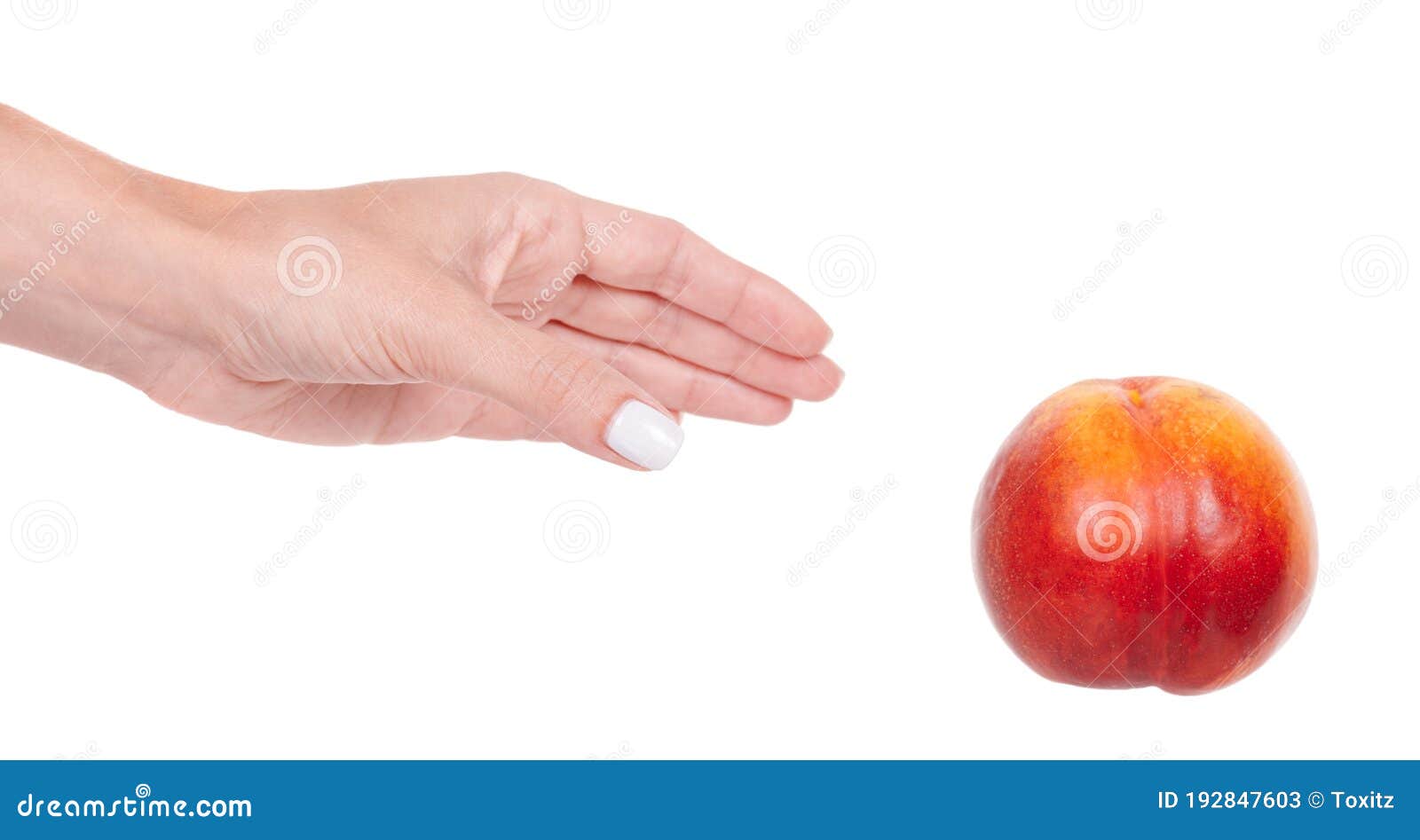 Hand with Fresh Raw Peach Fruit, Isolated on White Background Stock ...