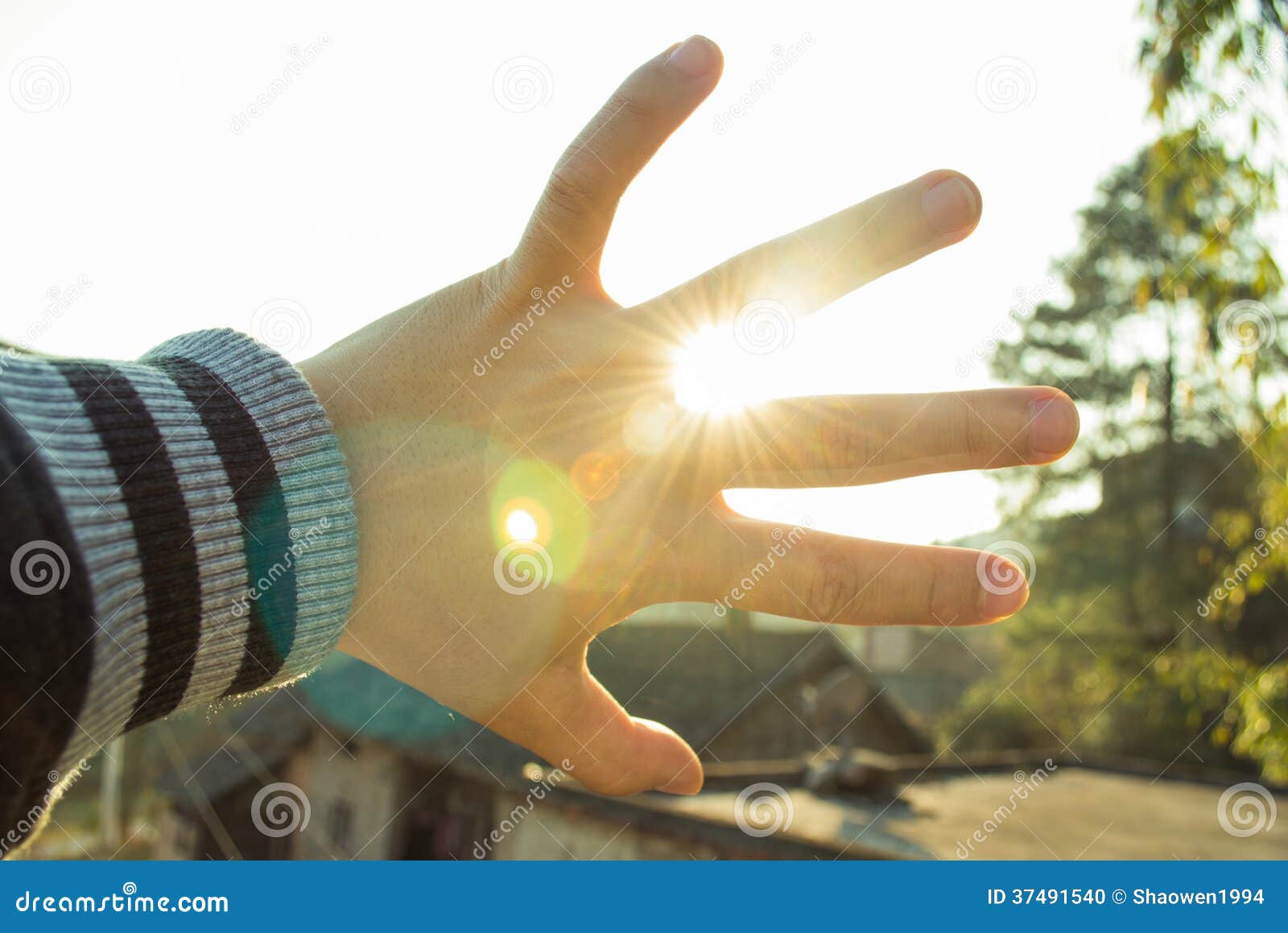 Hand at sunset sunshine stock photo. Image of happy, positive - 37491540
