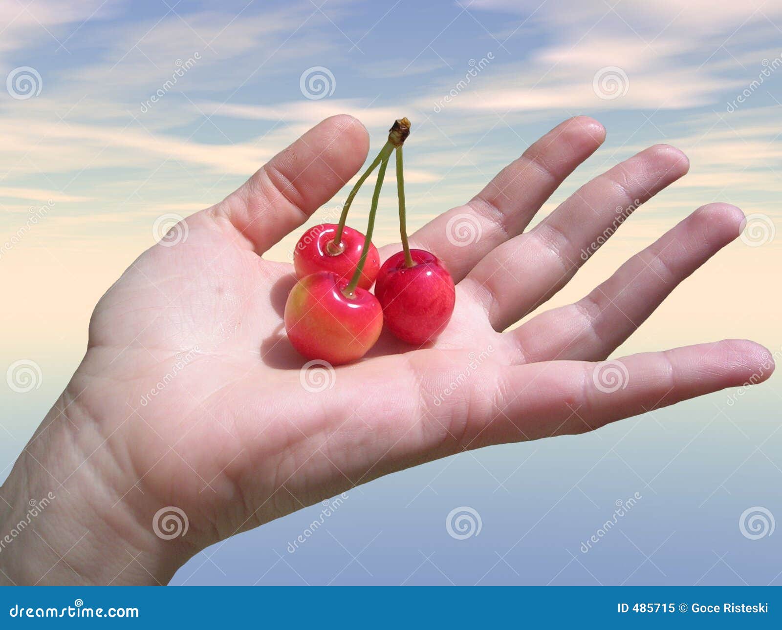 Hand with fruit stock image. Image of handful, nature, sweet - 485715