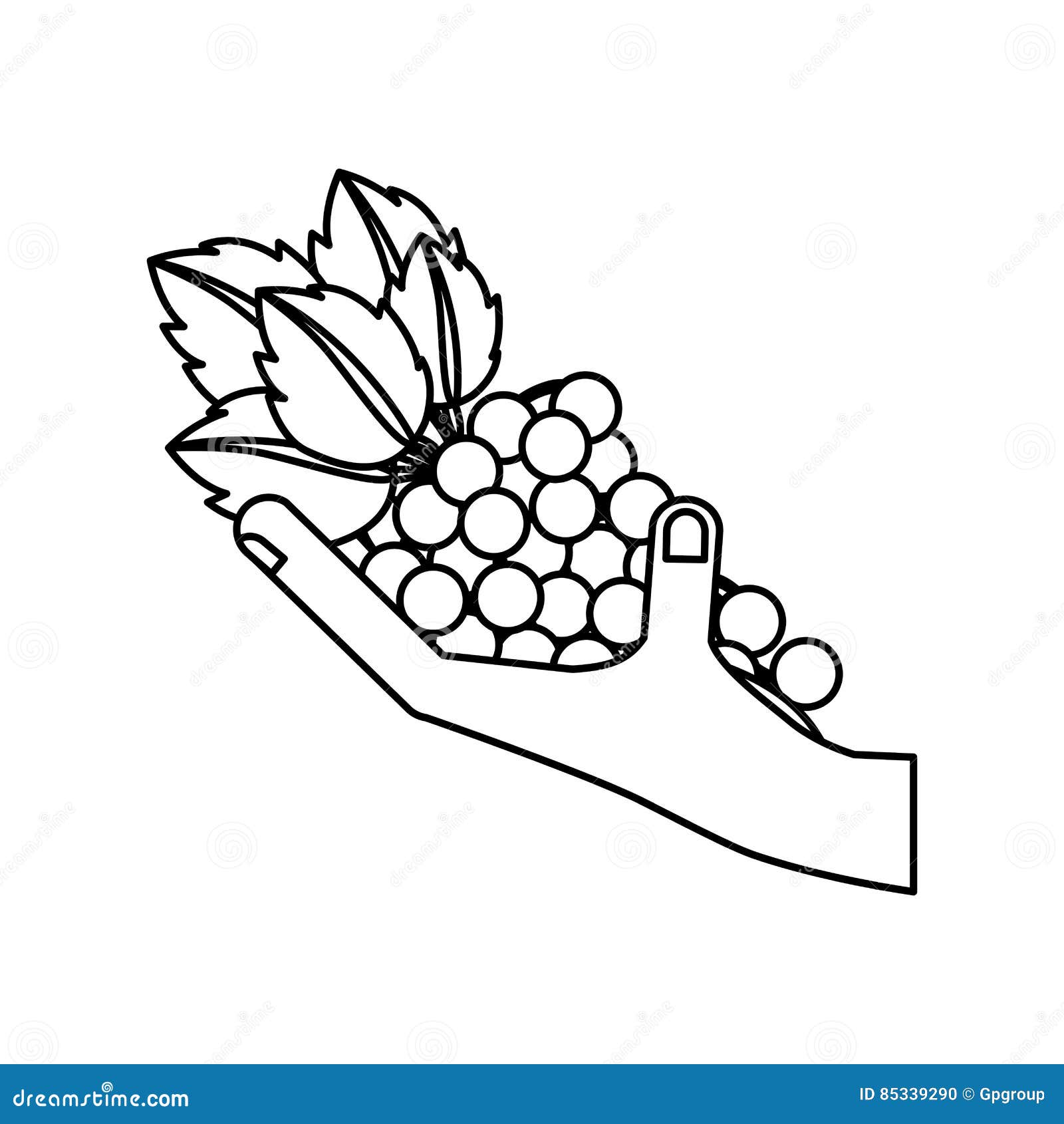 Hand with fruit stock illustration. Illustration of cuisine - 85339290
