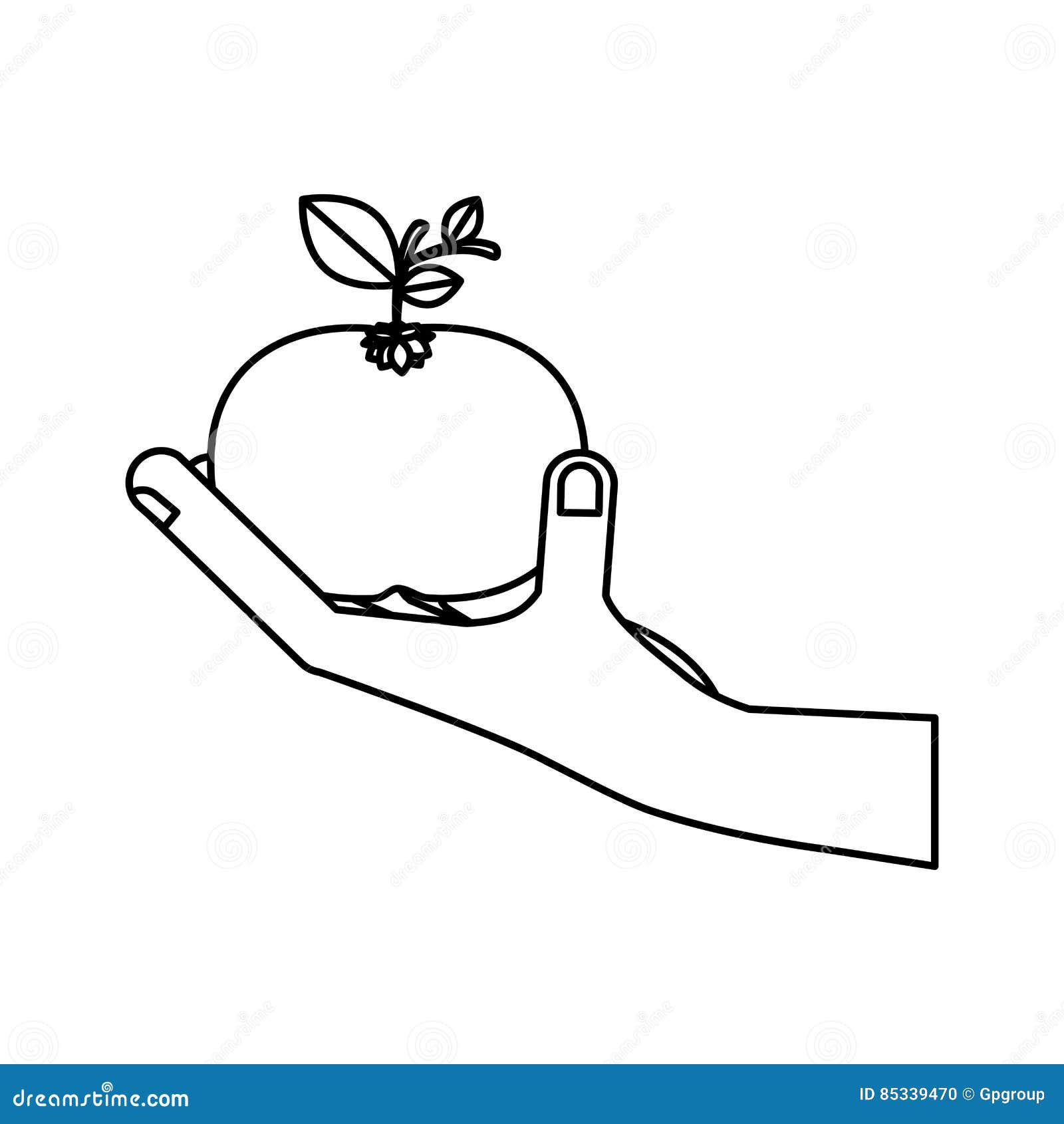 Hand with fruit stock illustration. Illustration of cooking - 85339470