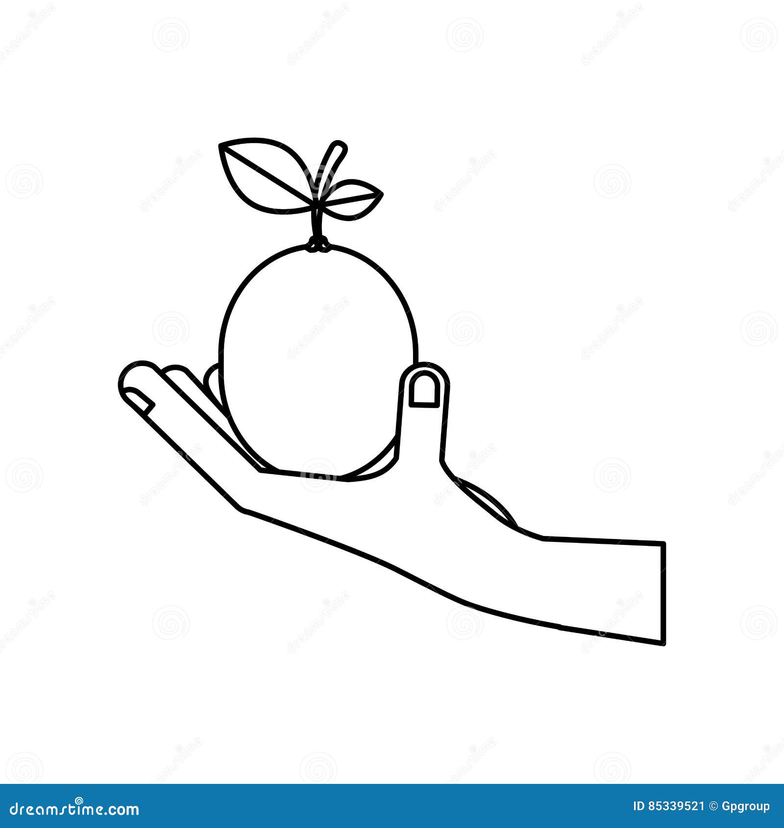 Hand with fruit stock illustration. Illustration of nutritious - 85339521