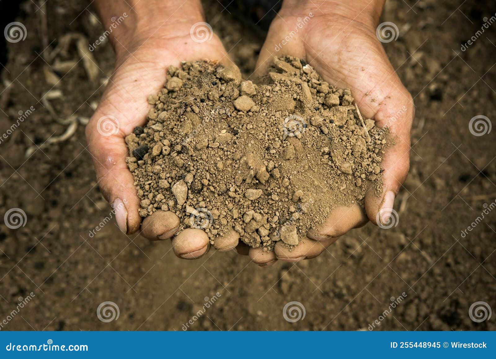Hand Full of Brown Soil in the Garden Stock Image - Image of grass ...